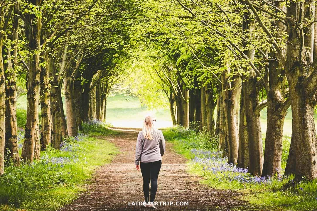 How to Visit Castle Ward — LAIDBACK TRIP