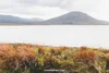 A Guide to Wild Nephin National Park — LAIDBACK TRIP
