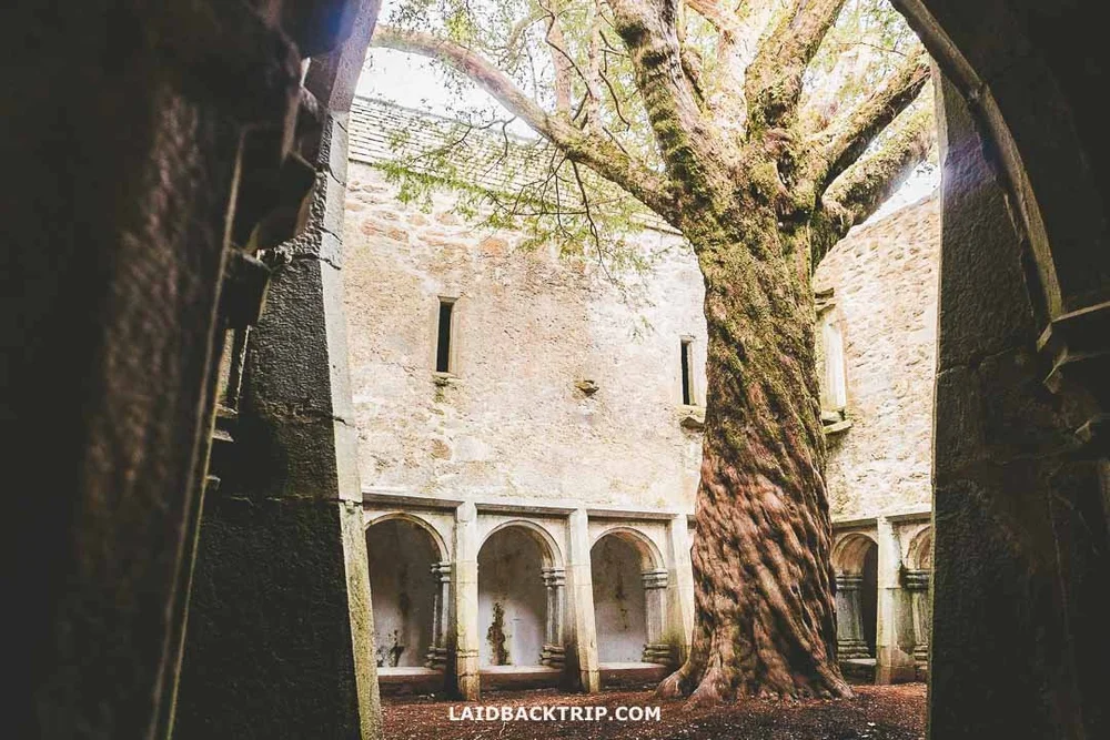 How to Visit Muckross Abbey — LAIDBACK TRIP