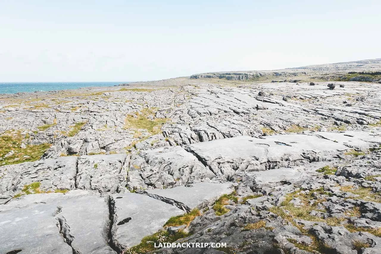 The Burren: Travel Guide — LAIDBACK TRIP
