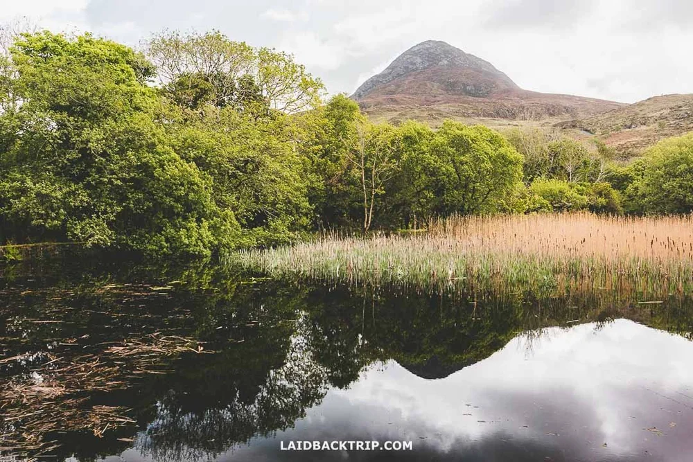 A Guide to Connemara National Park — LAIDBACK TRIP