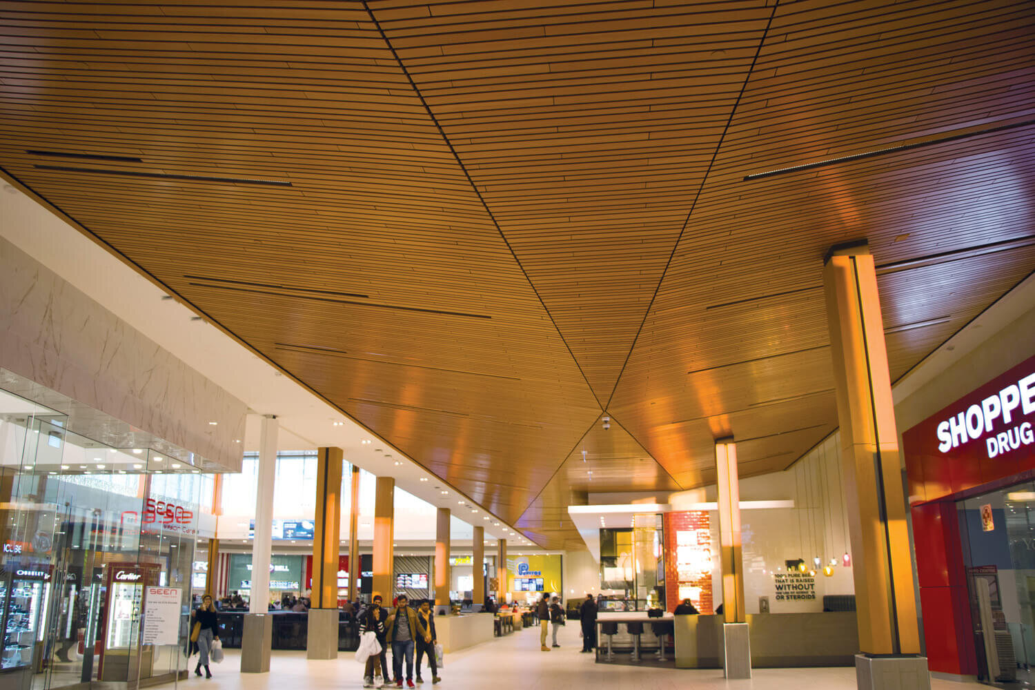 Decoustics Acoustical Ceilings & Walls | Denzel Northwest