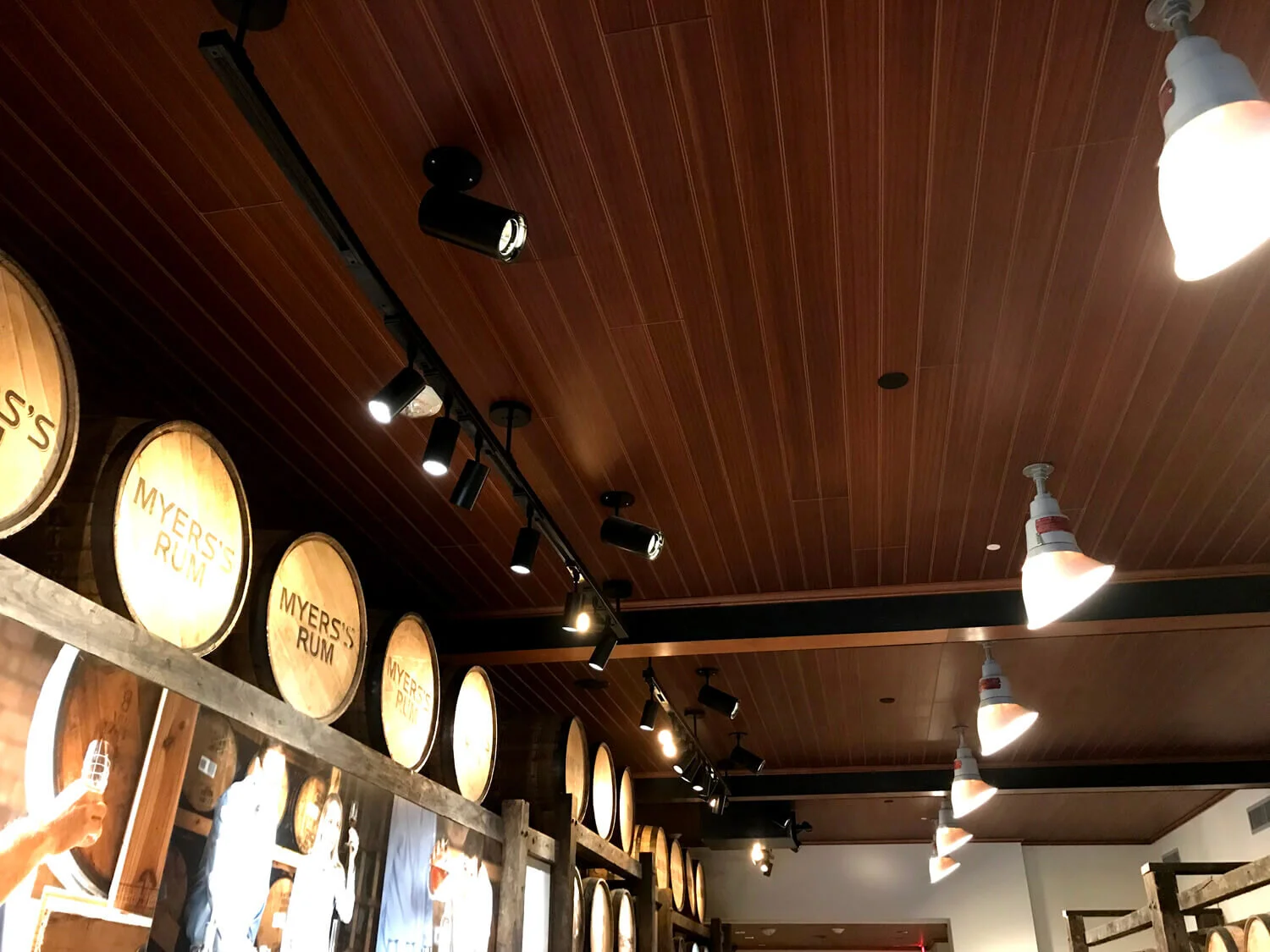 Decoustics Acoustical Ceilings & Walls | Denzel Northwest