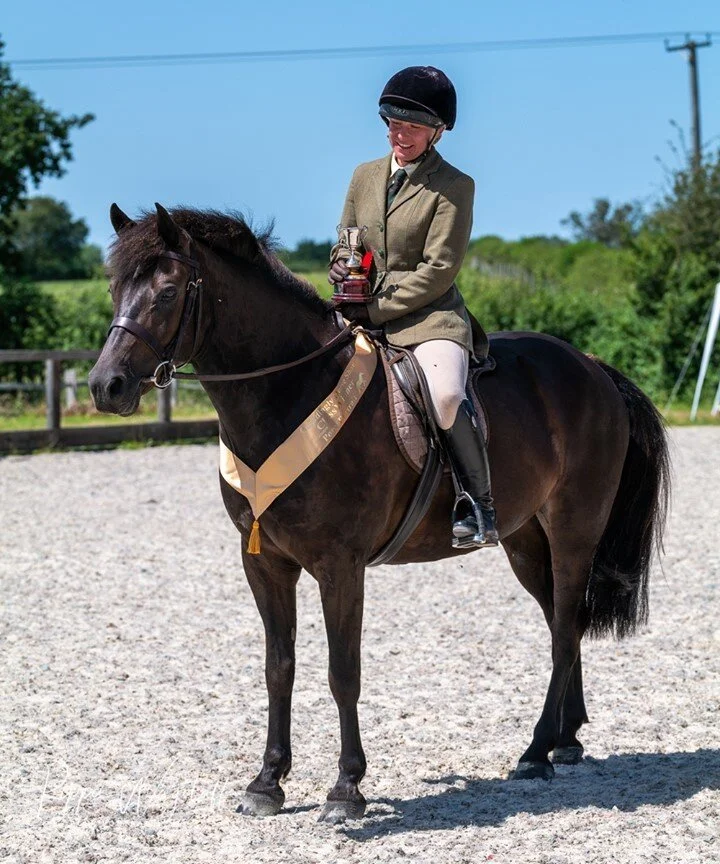 Inspiring locations for your Pony Portrait session