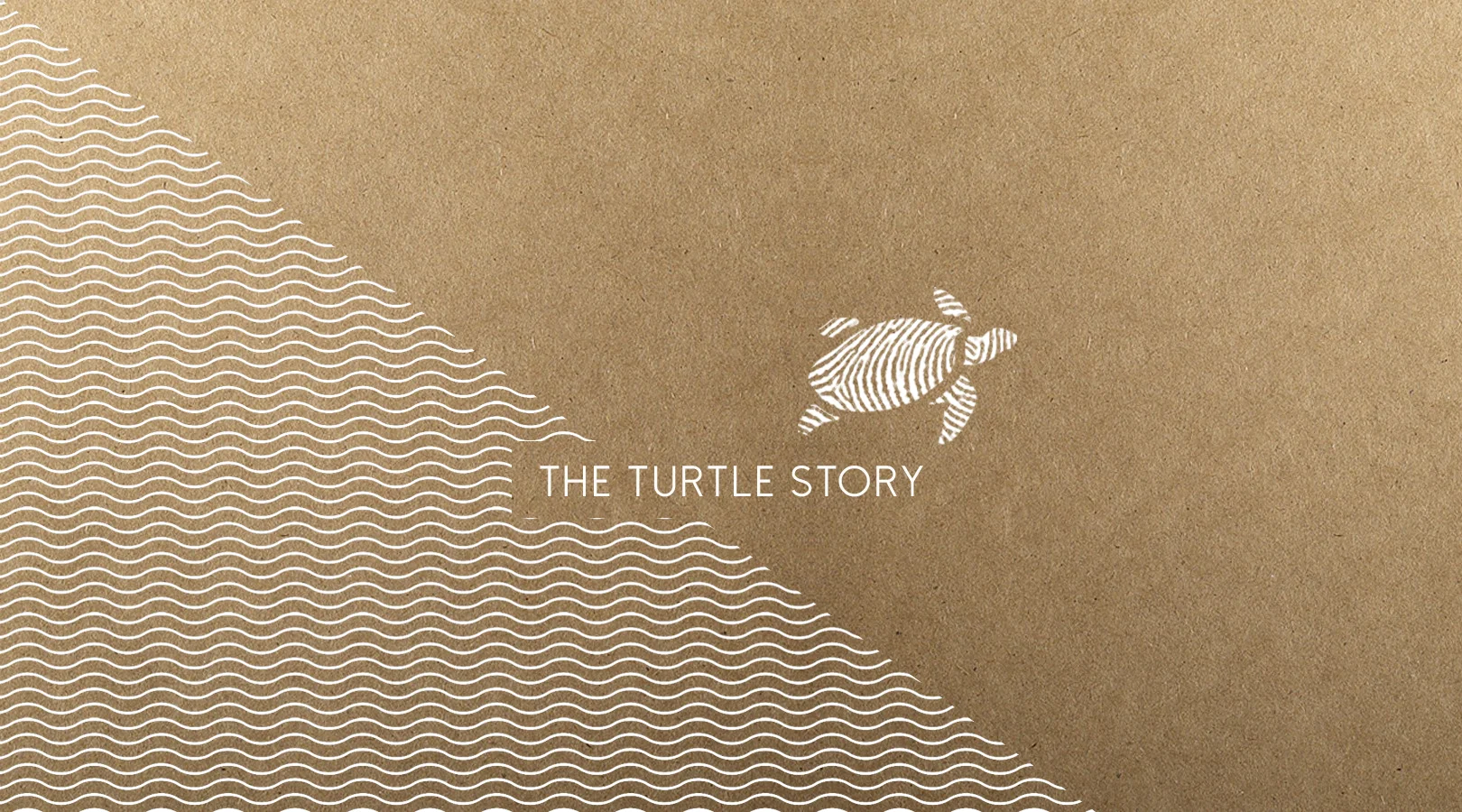 the turtle story