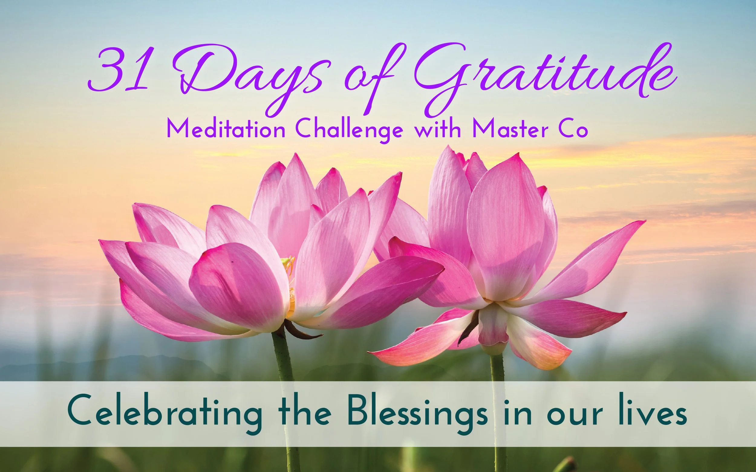 Gratitude Meditation Challenge — Master Co