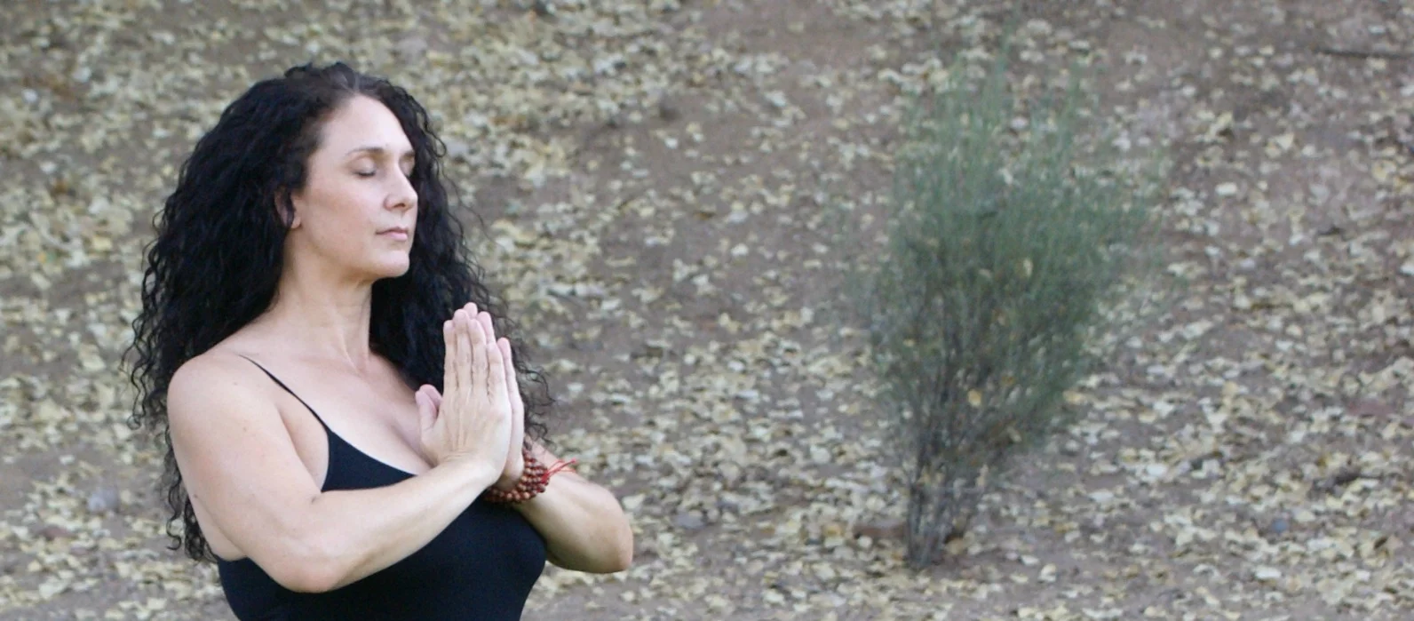 Maya Shakti Yoga & Wellness