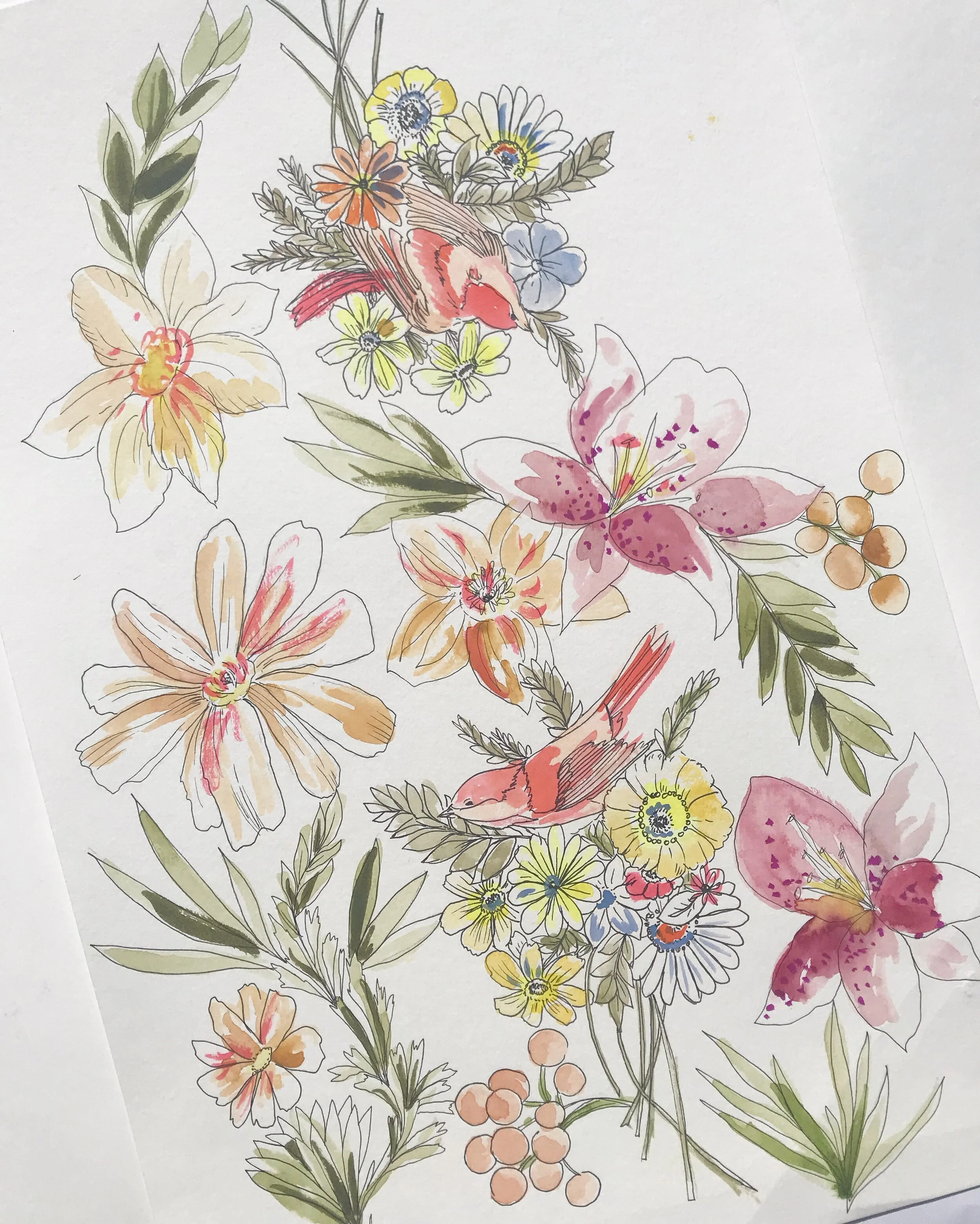 Process — Claire Musser