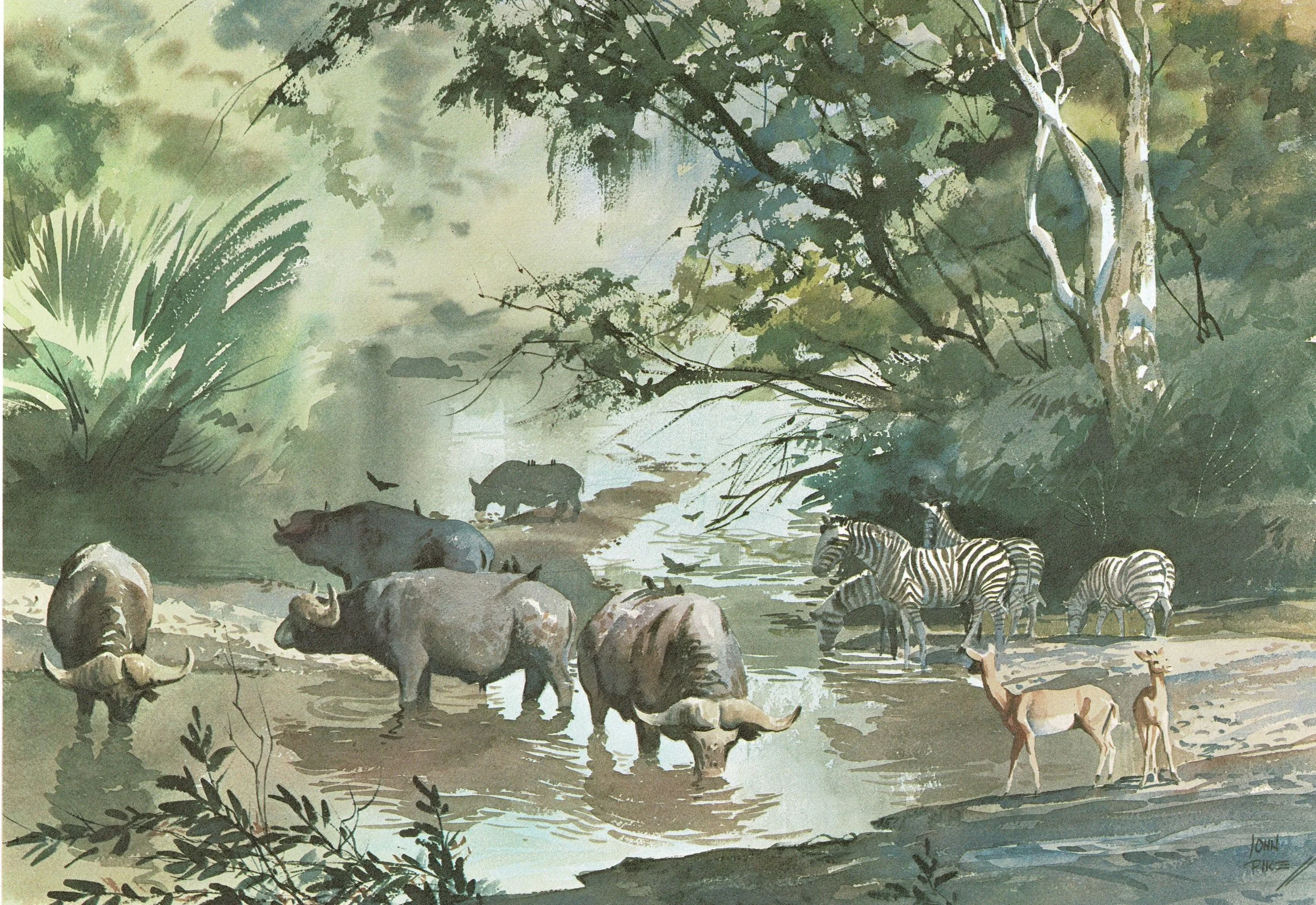 Prints — John Pike Art Products