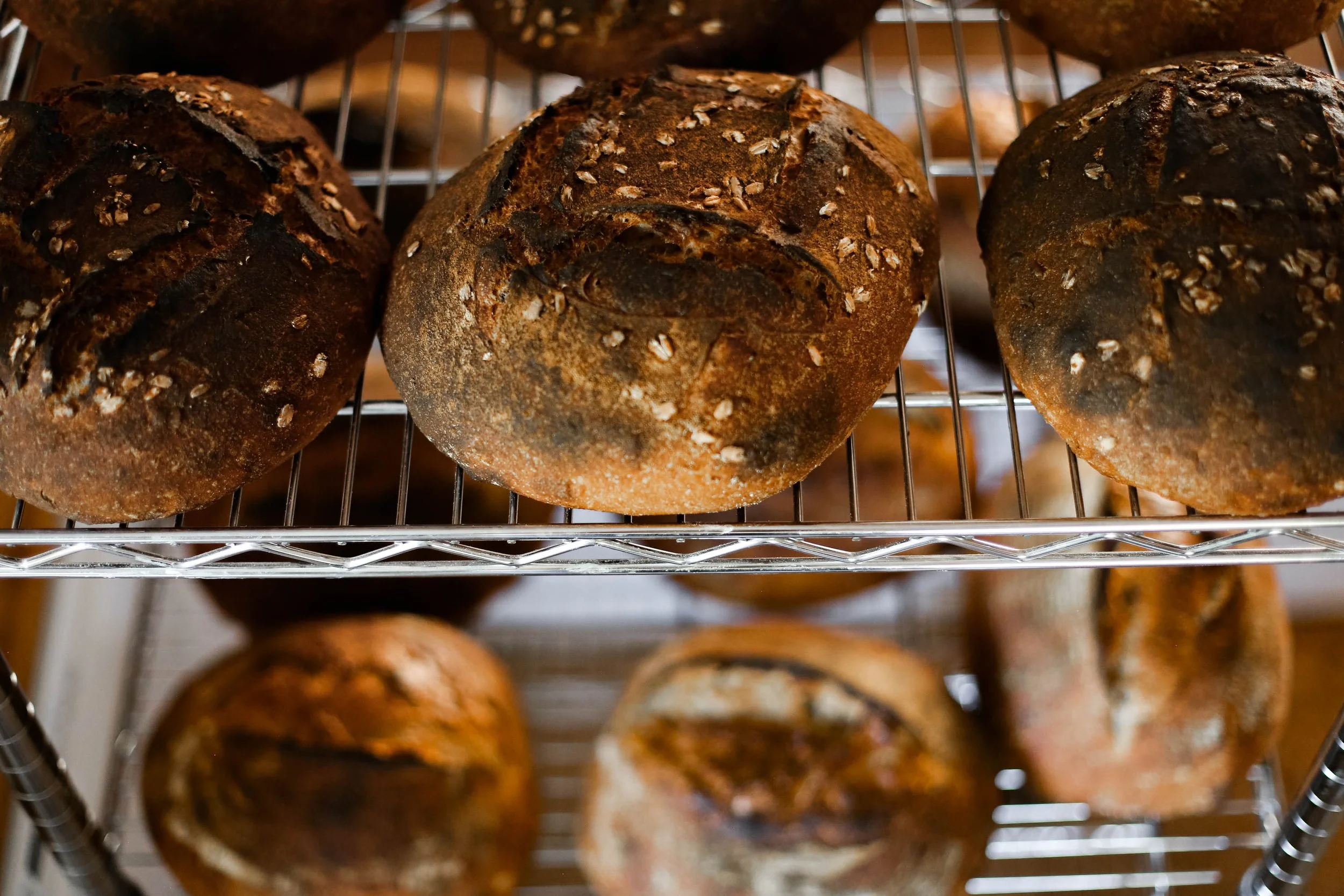 Breads & Pastries — Folk Bread