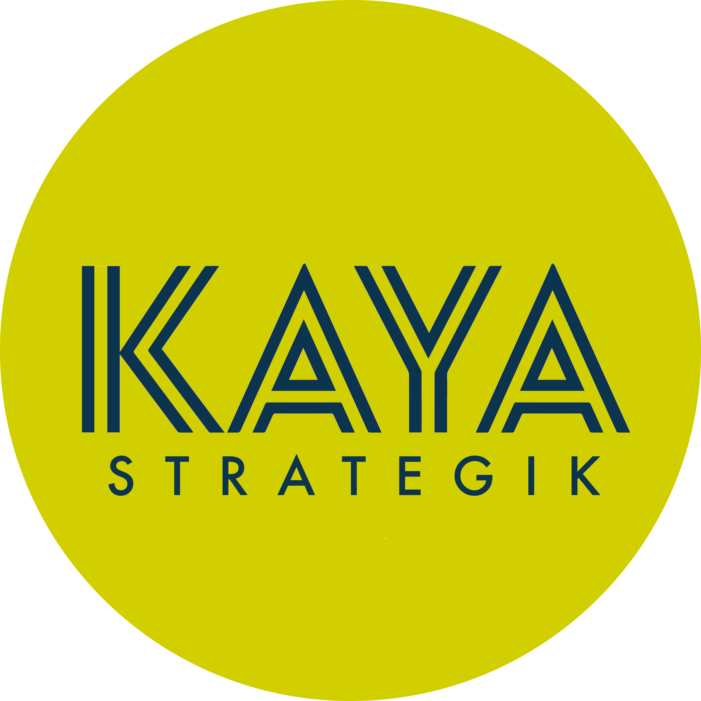 KAYA strategik