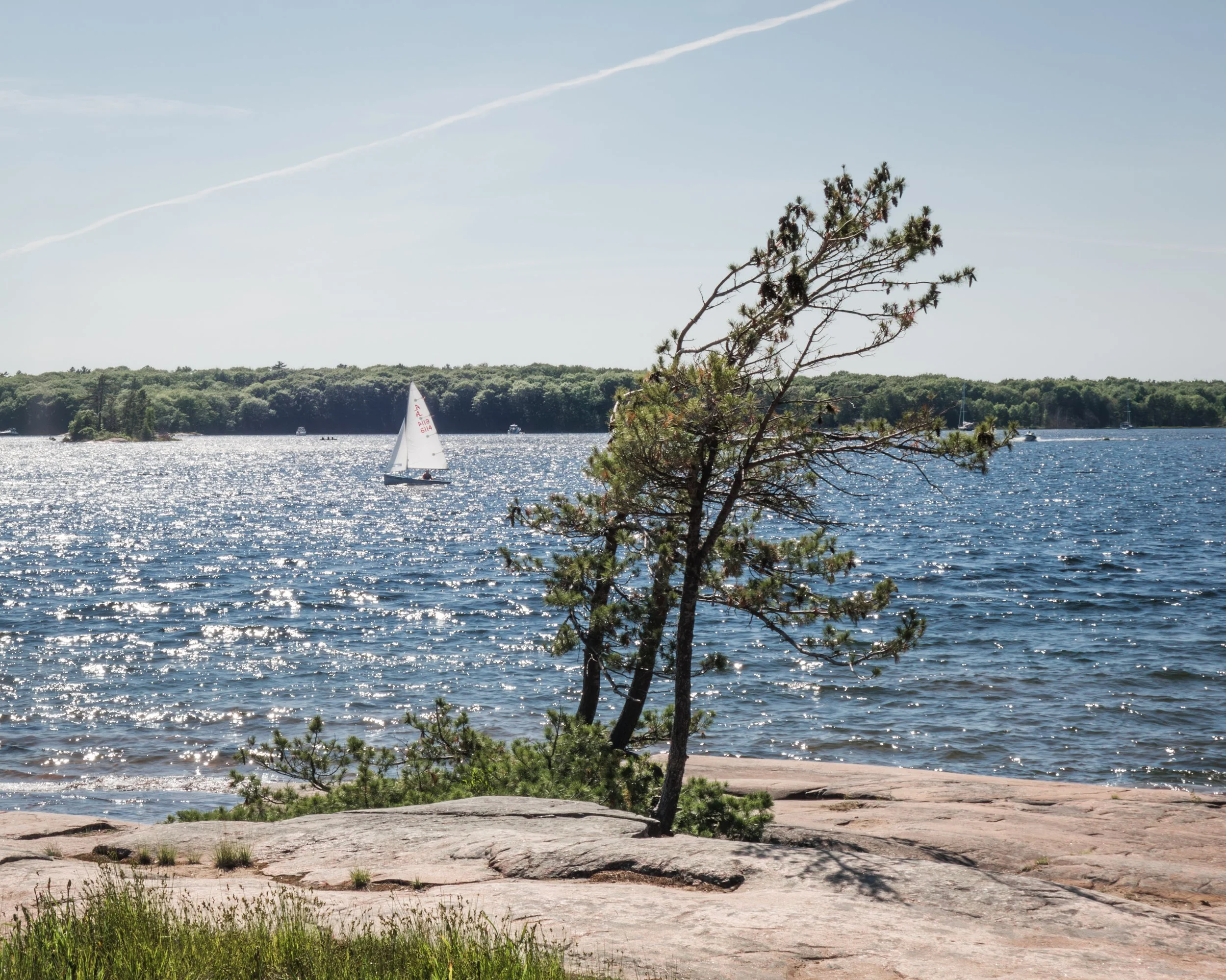 Camping & Adventuring at Killbear Provincial Park — Martina Daskalova