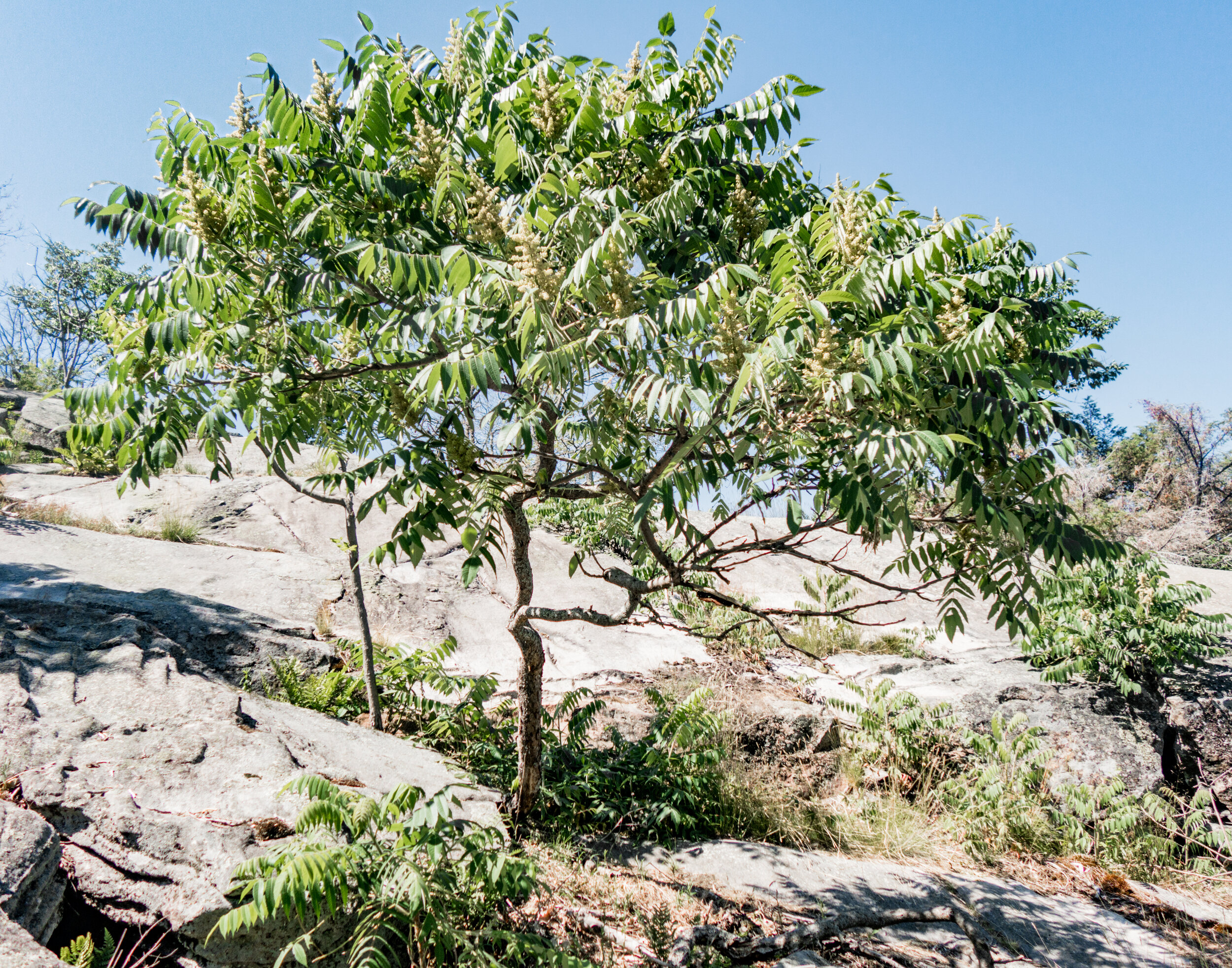 Camping & Adventuring at Killbear Provincial Park — Martina Daskalova