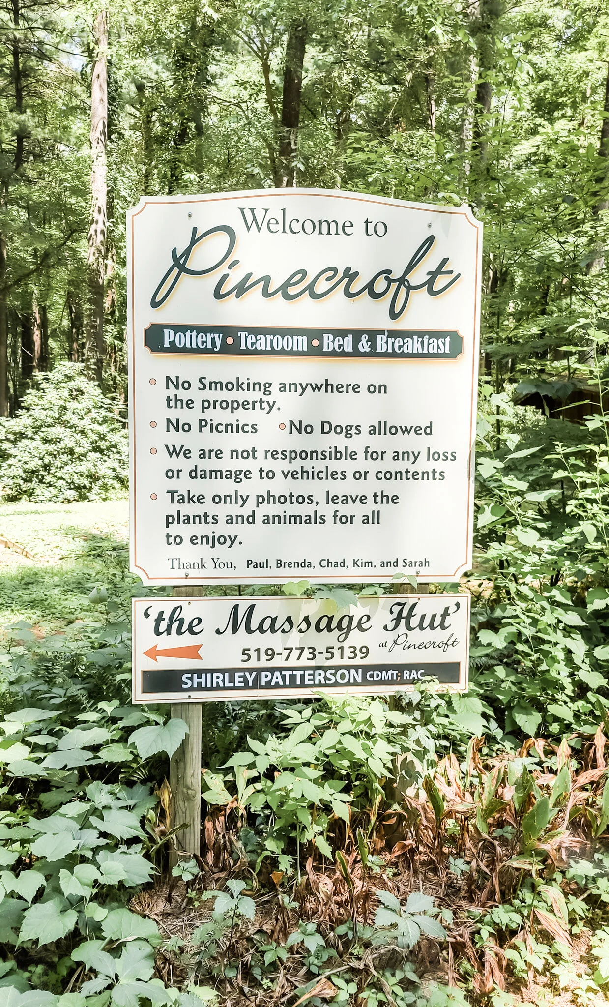 Pinecroft Pottery Studio and Restaurant — Martina Daskalova