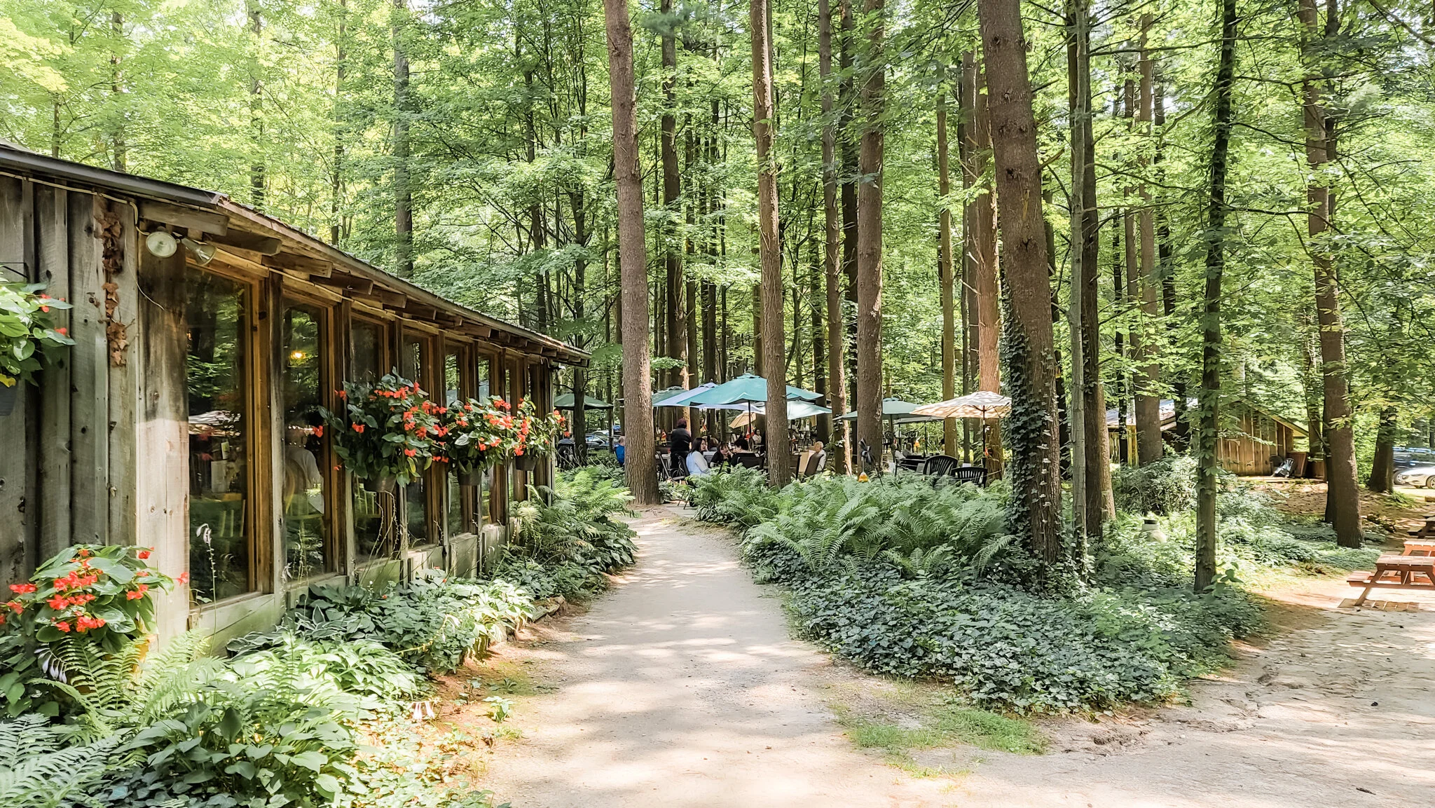 Pinecroft Pottery Studio and Restaurant — Martina Daskalova