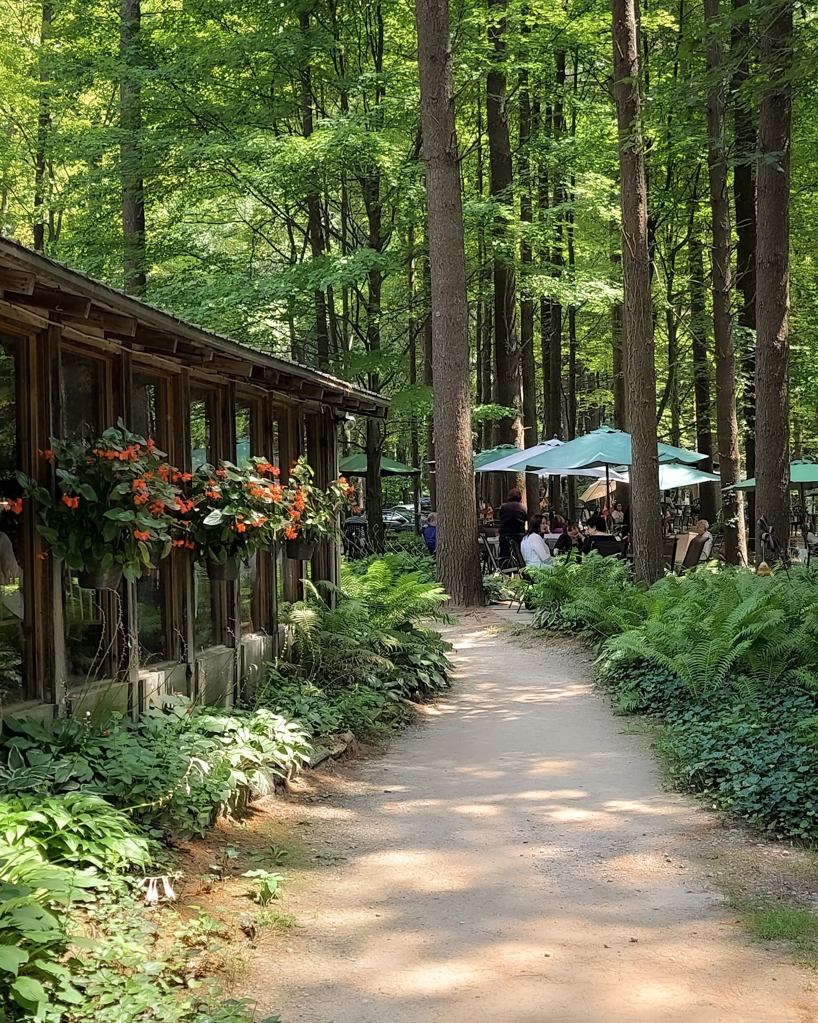Pinecroft Pottery Studio and Restaurant — Martina Daskalova