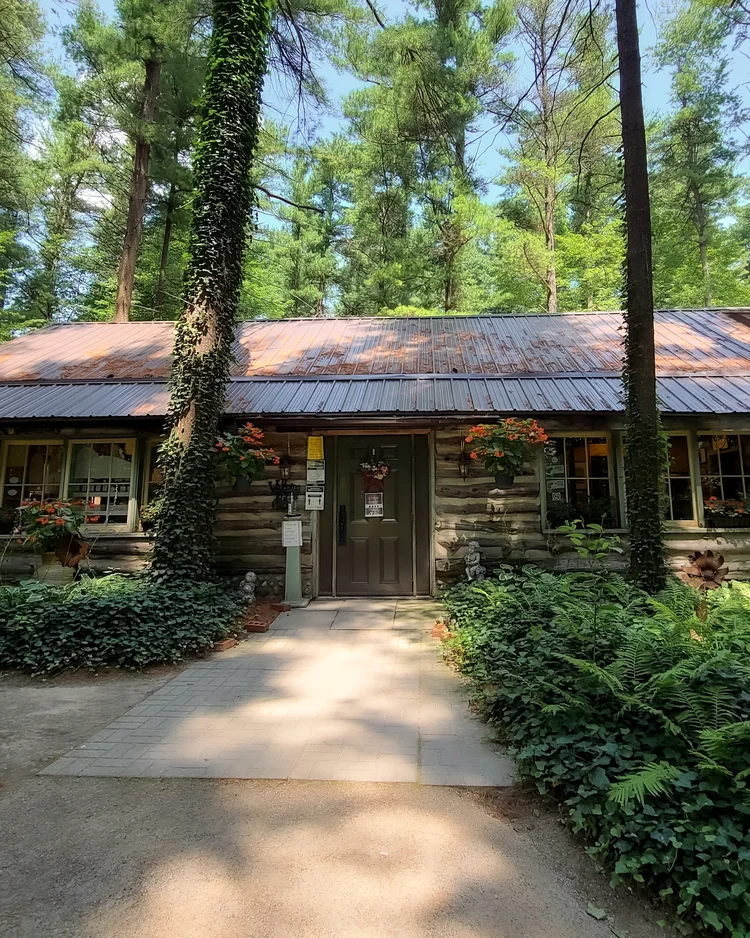 Pinecroft Pottery Studio and Restaurant — Martina Daskalova