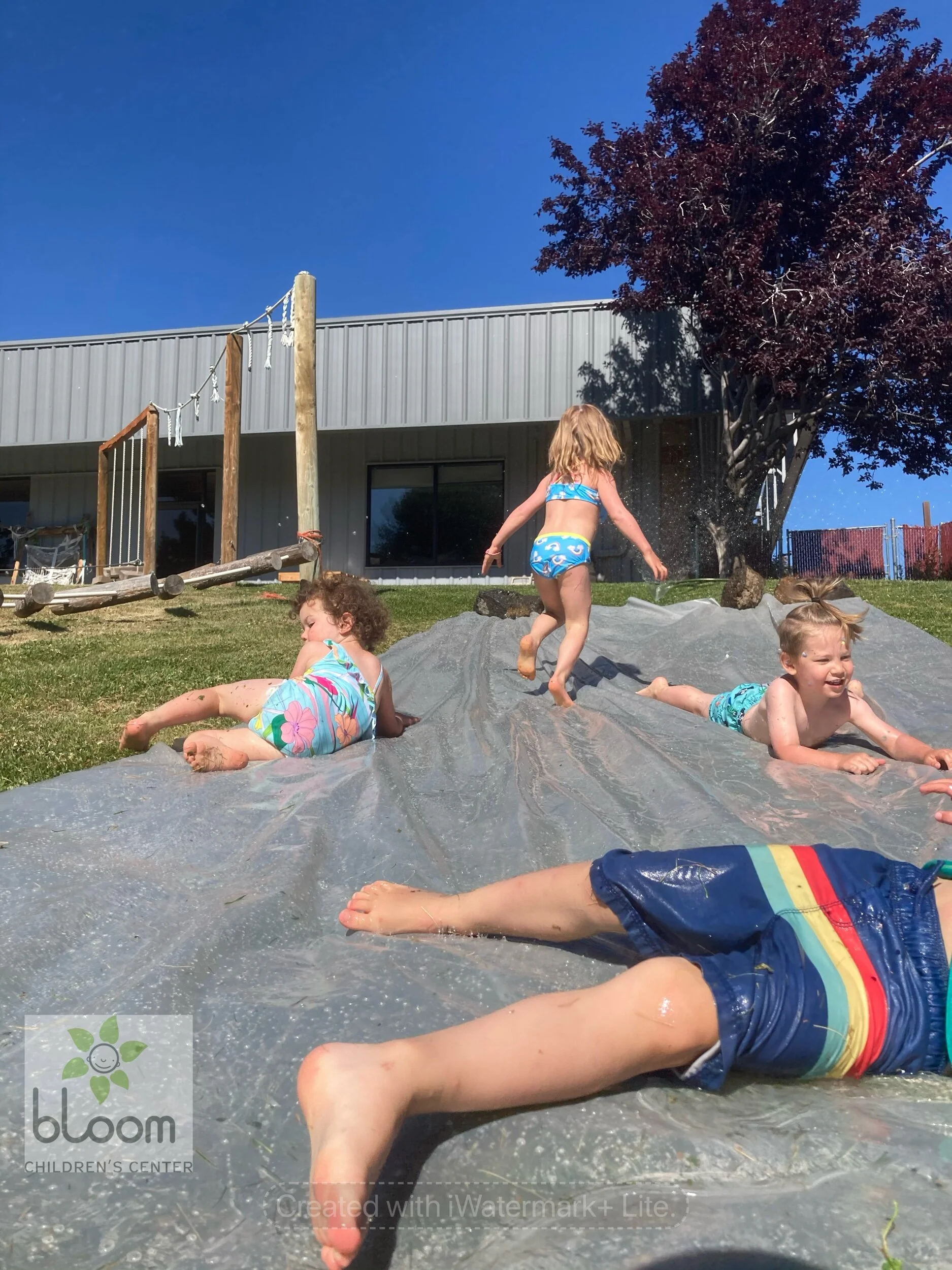 Bloom Children's Center Blog — Bloom Children's Center