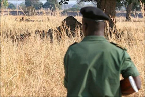 WHY WE NEED ARMED SAFARI SCOUTS — Africa Hope Fund