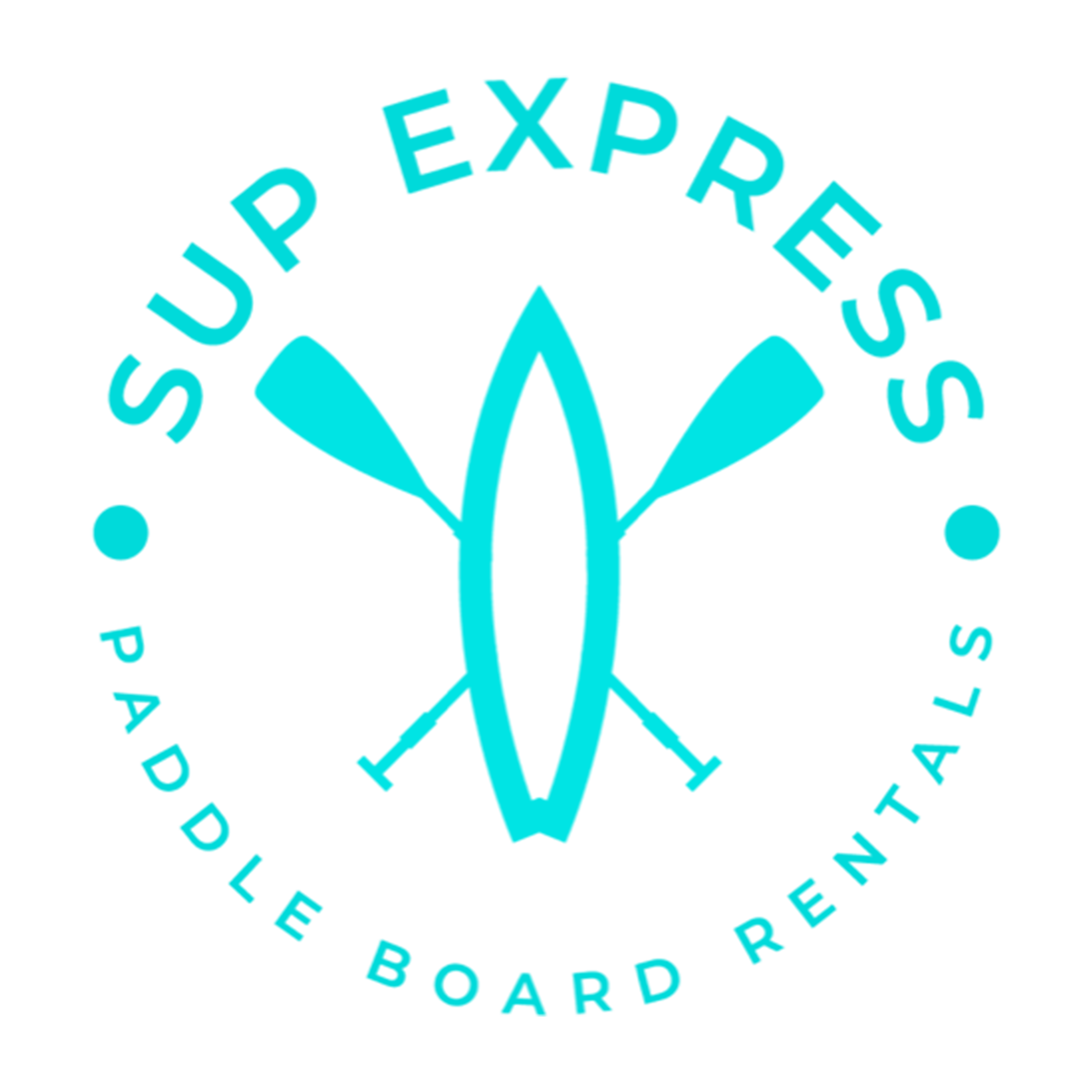 Yolo Board Logo