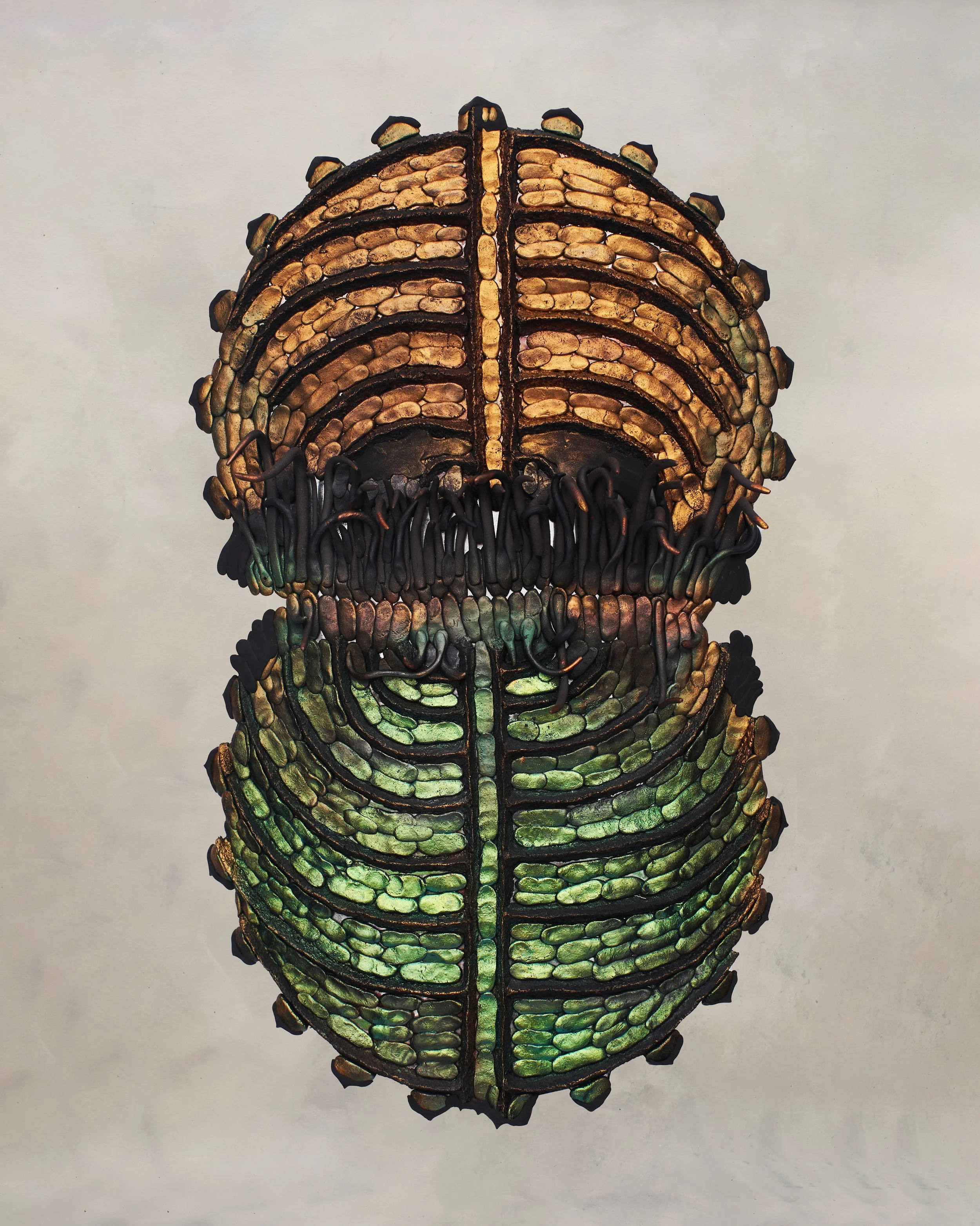 Beetle Shields — Maria Positano