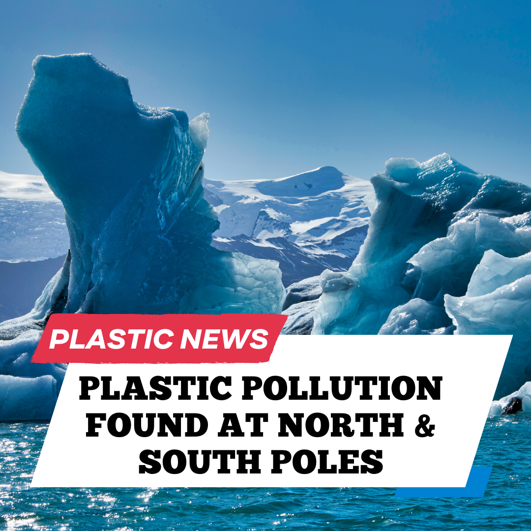 Everyday Plastic News