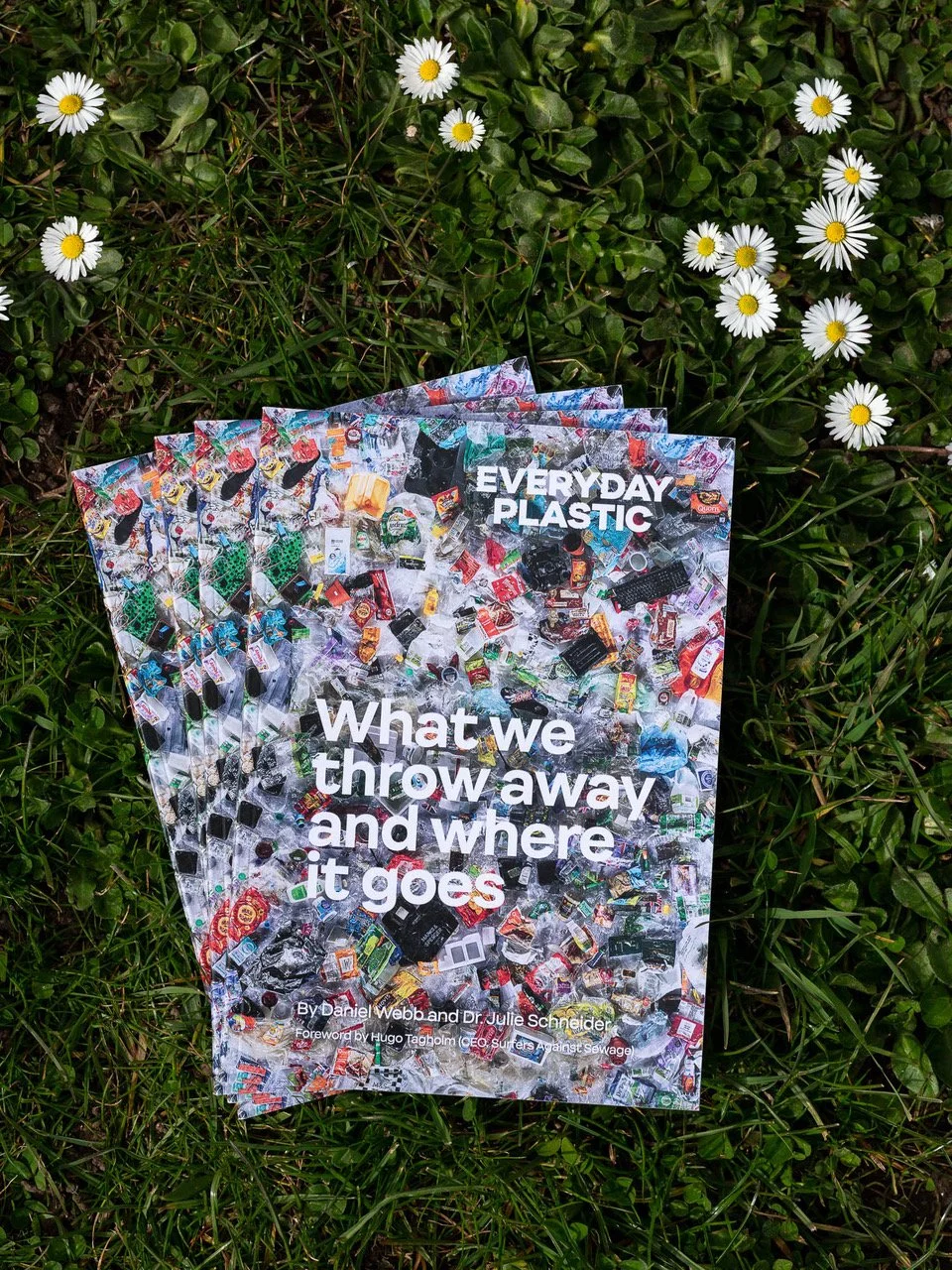 Everyday Plastic Report Download