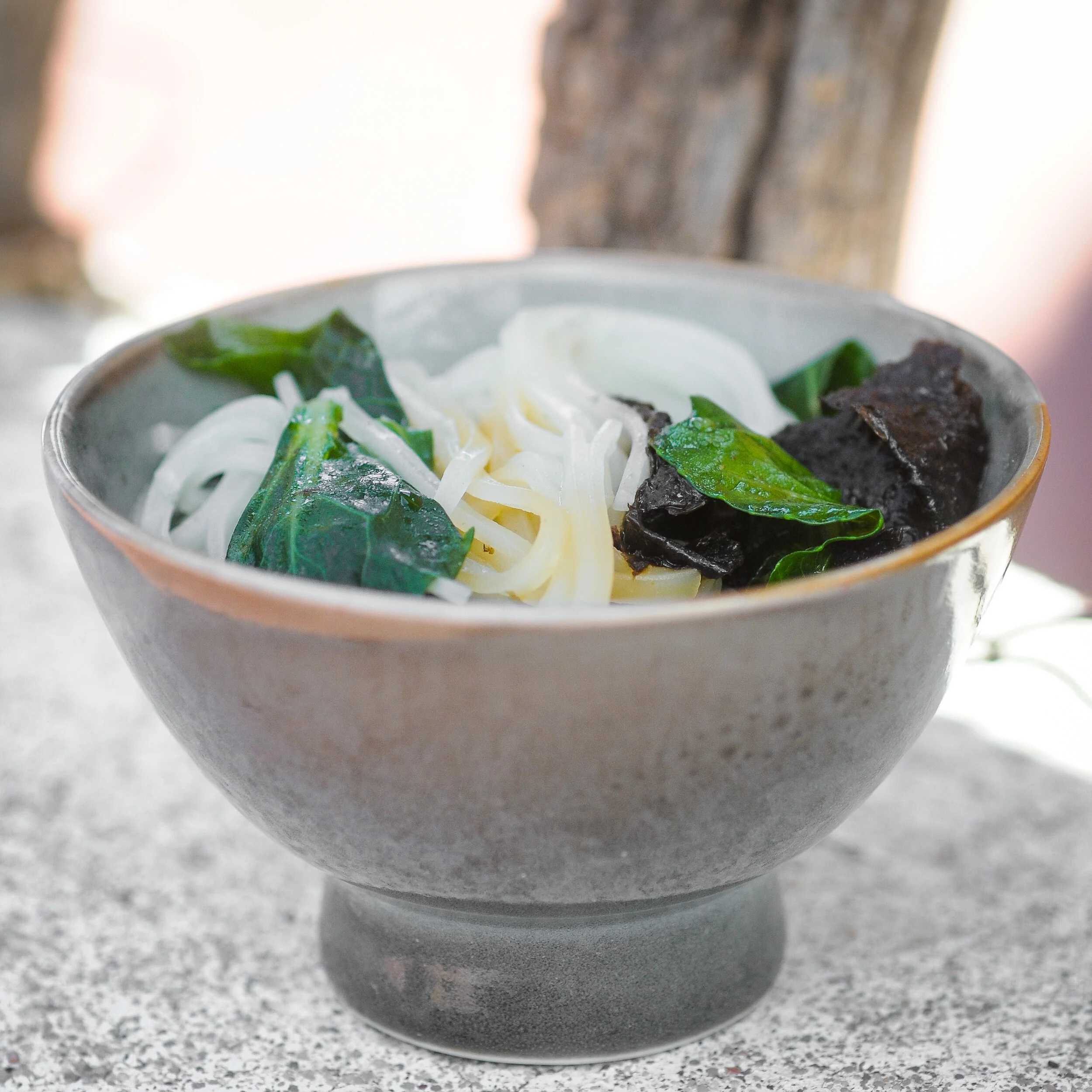 The New Dish Project — Condé Photography