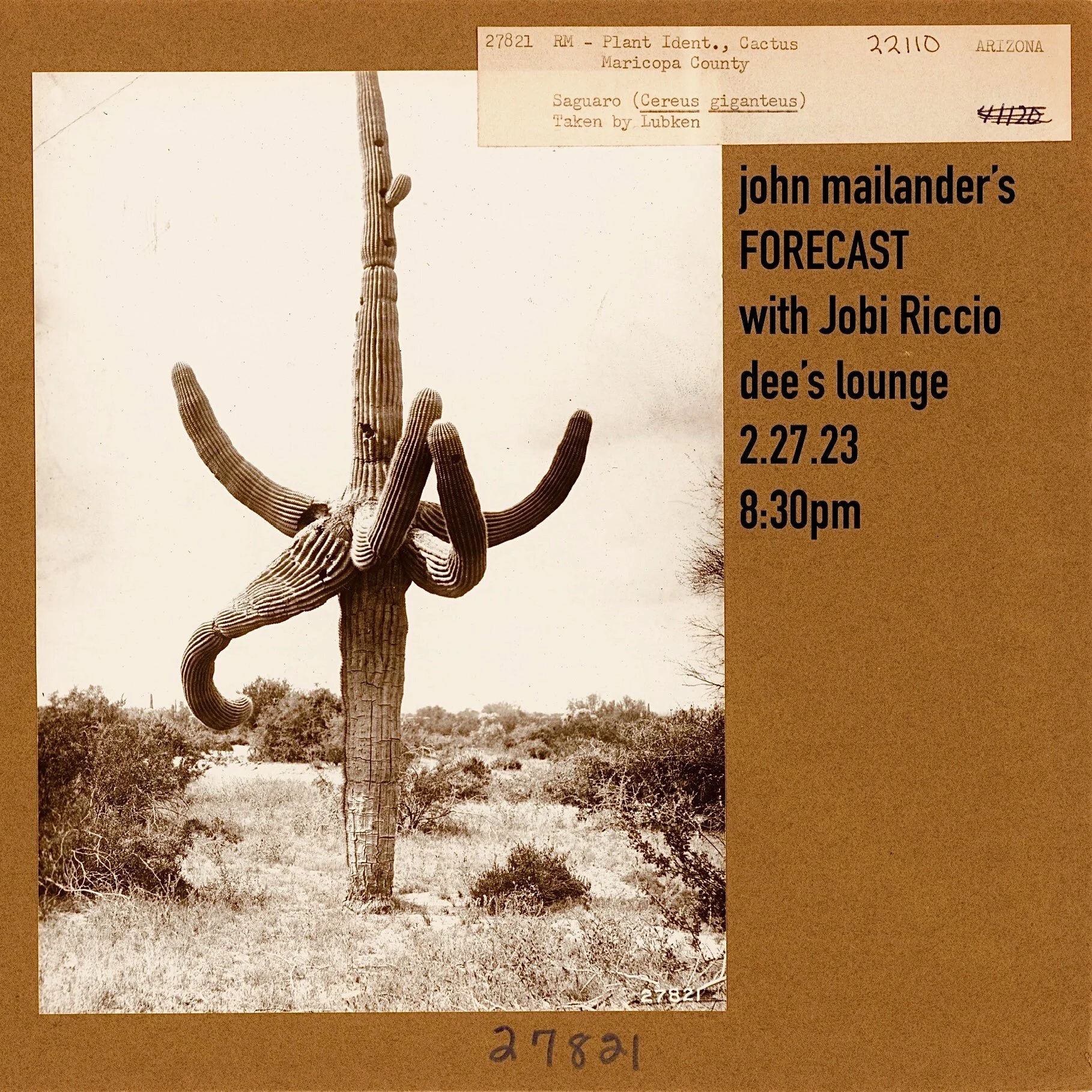 Forecast — John Mailander