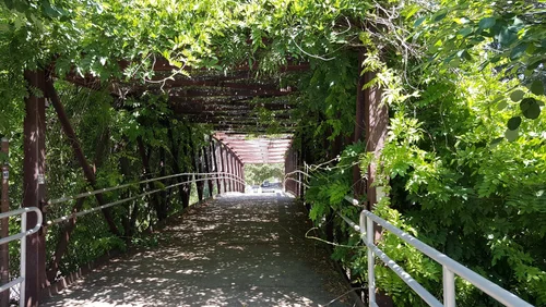 Our Board of Directors — Dunleath Historic District