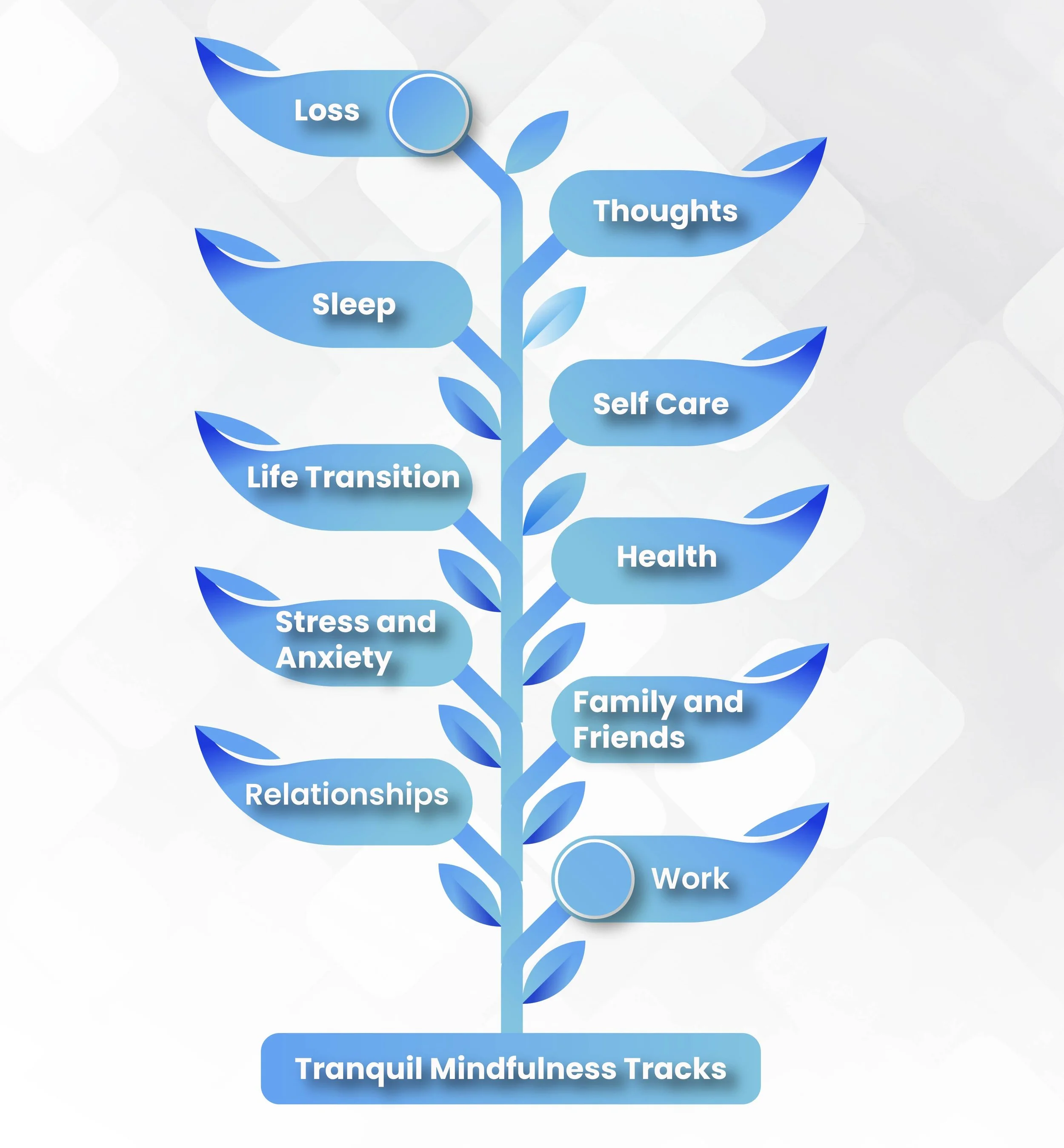 Tranquil Mindfulness App — Silver Oak Health