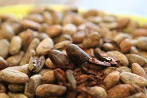 Lonohana Estate Chocolate