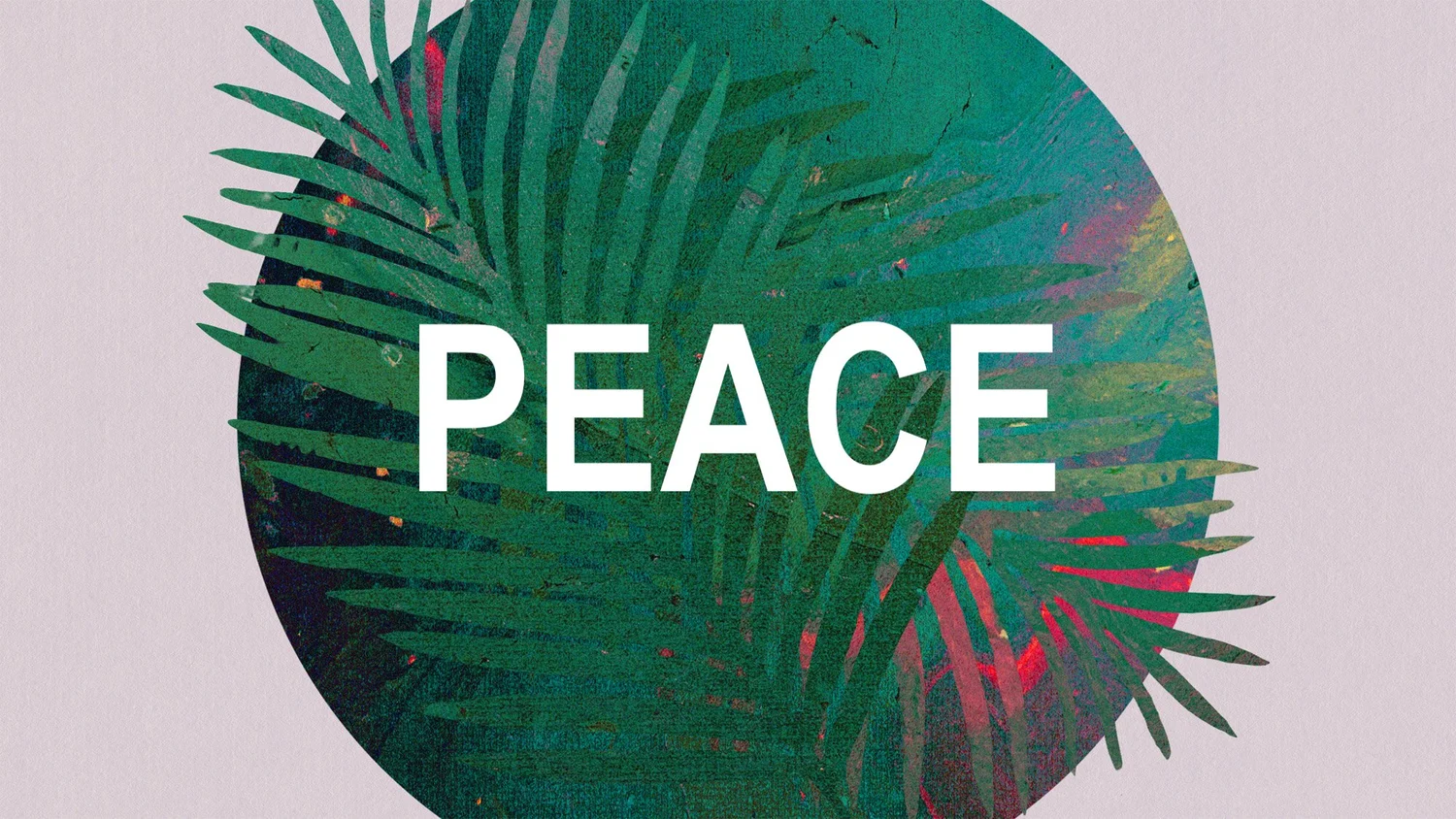 Unveiling the Peace of Christ: Insights from Palm Sunday — Anchor Church
