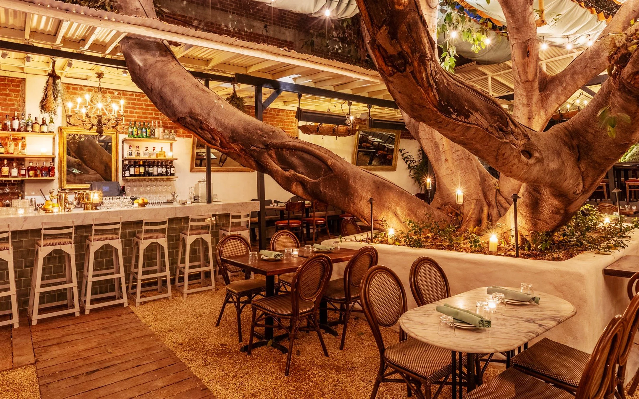 Bacari Silverlake: A Refined Take on Tapas in the Heart of LA — Los ...