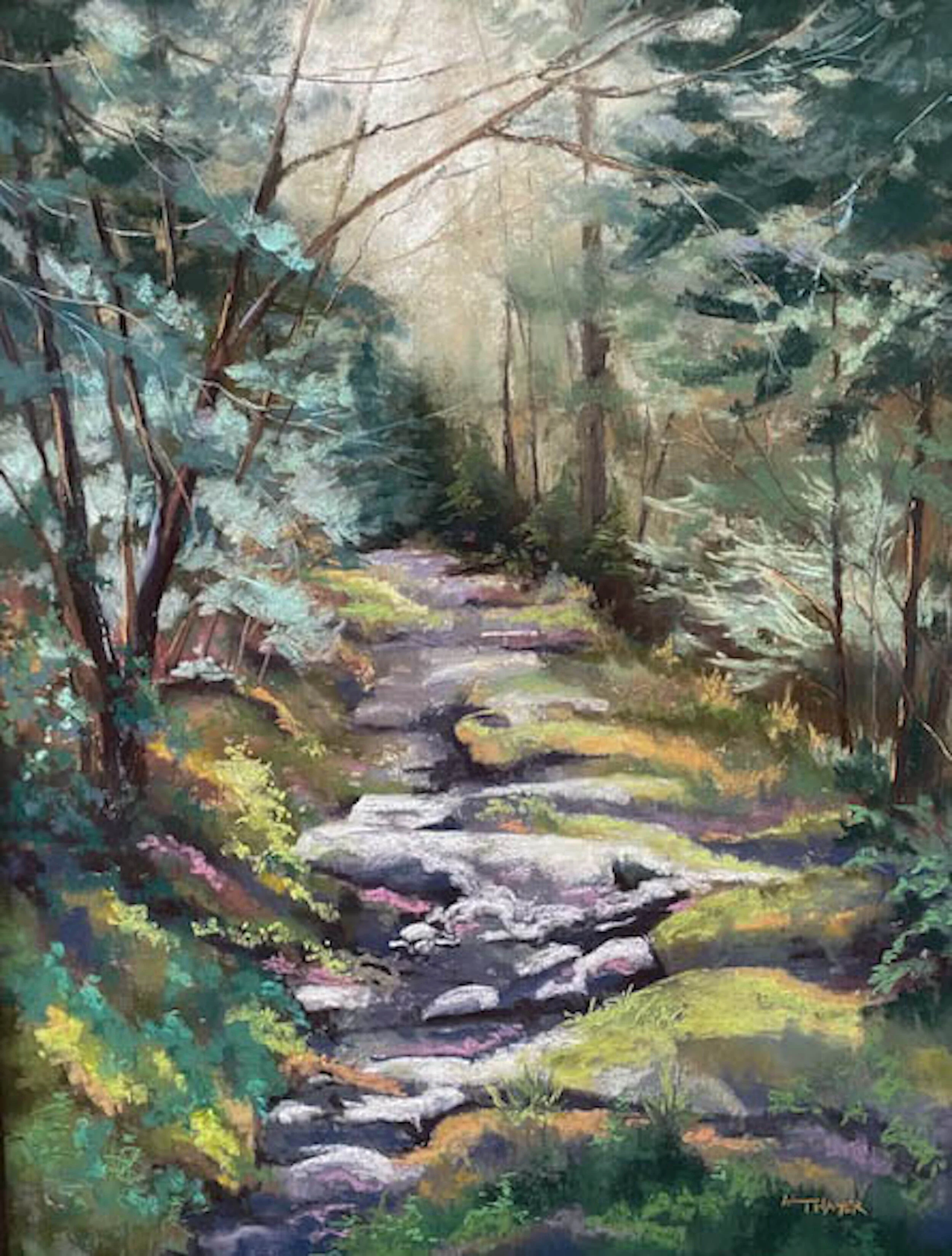 Woods Gallery — Kate Thayer