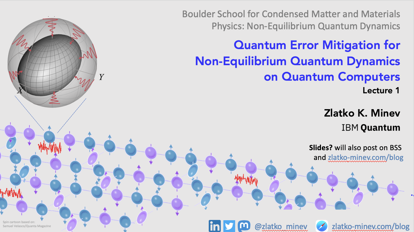 Quantum Error Mitigation: Lectures at the Boulder School for Condensed ...