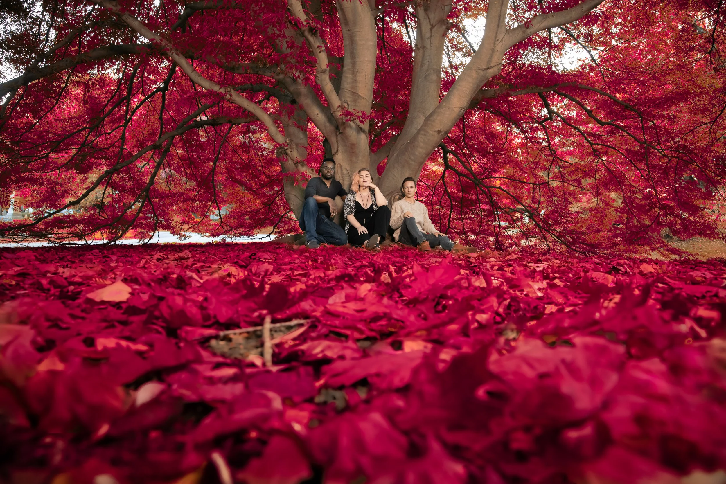 BOOKING/EPK — Ruby Grove