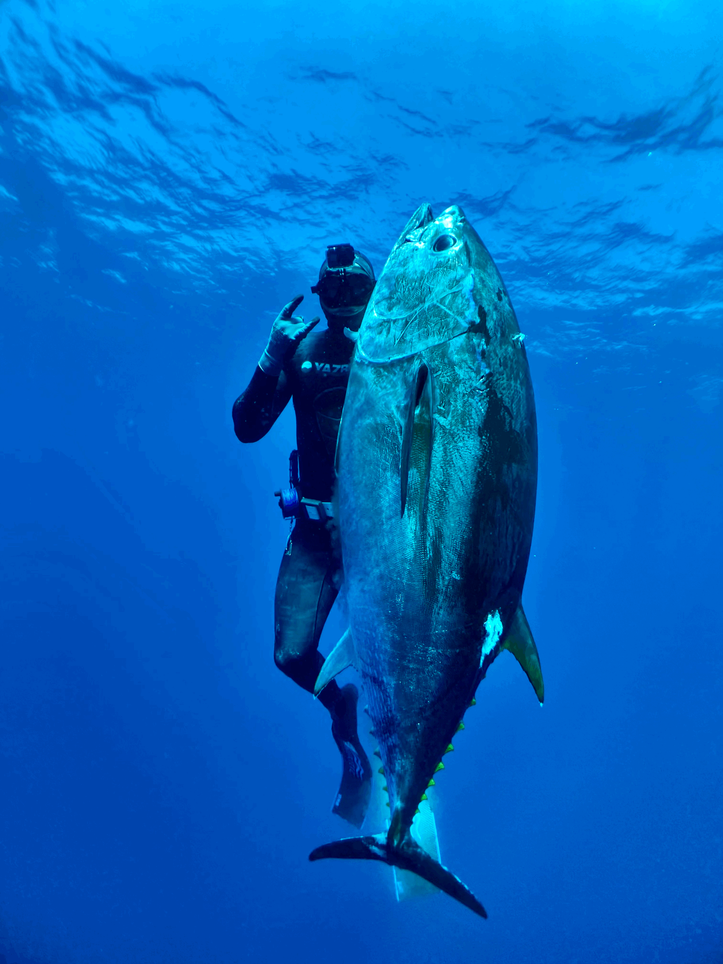 Spearfishing Ulua