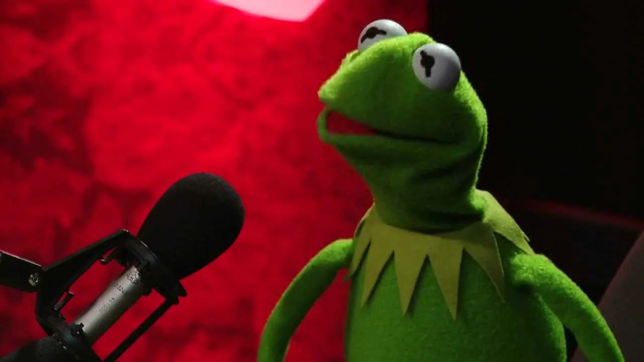 Kermit The Frog Getting Pretty Sick Of Another Man's Hand Up His Ass