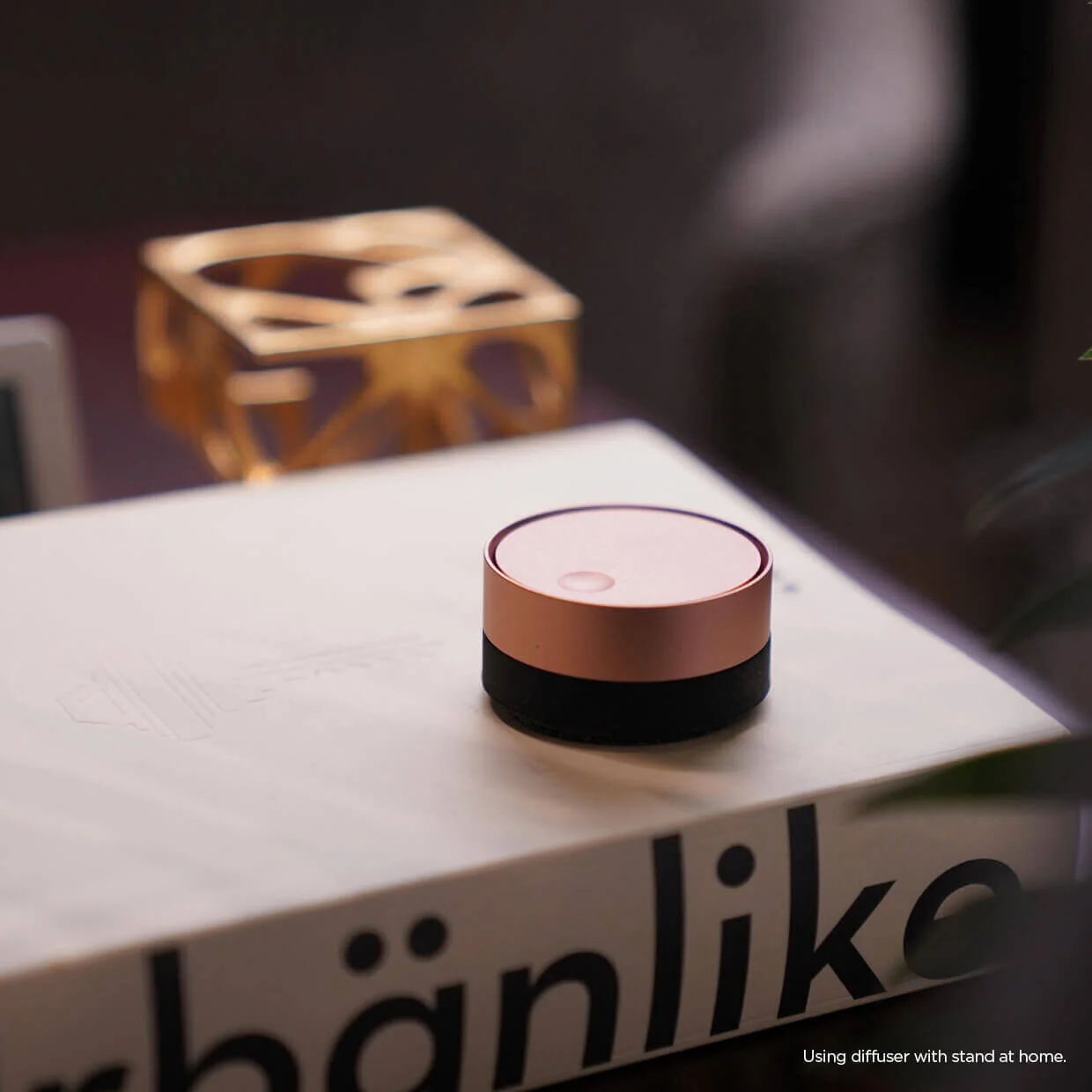 elago - Simple Sophistication