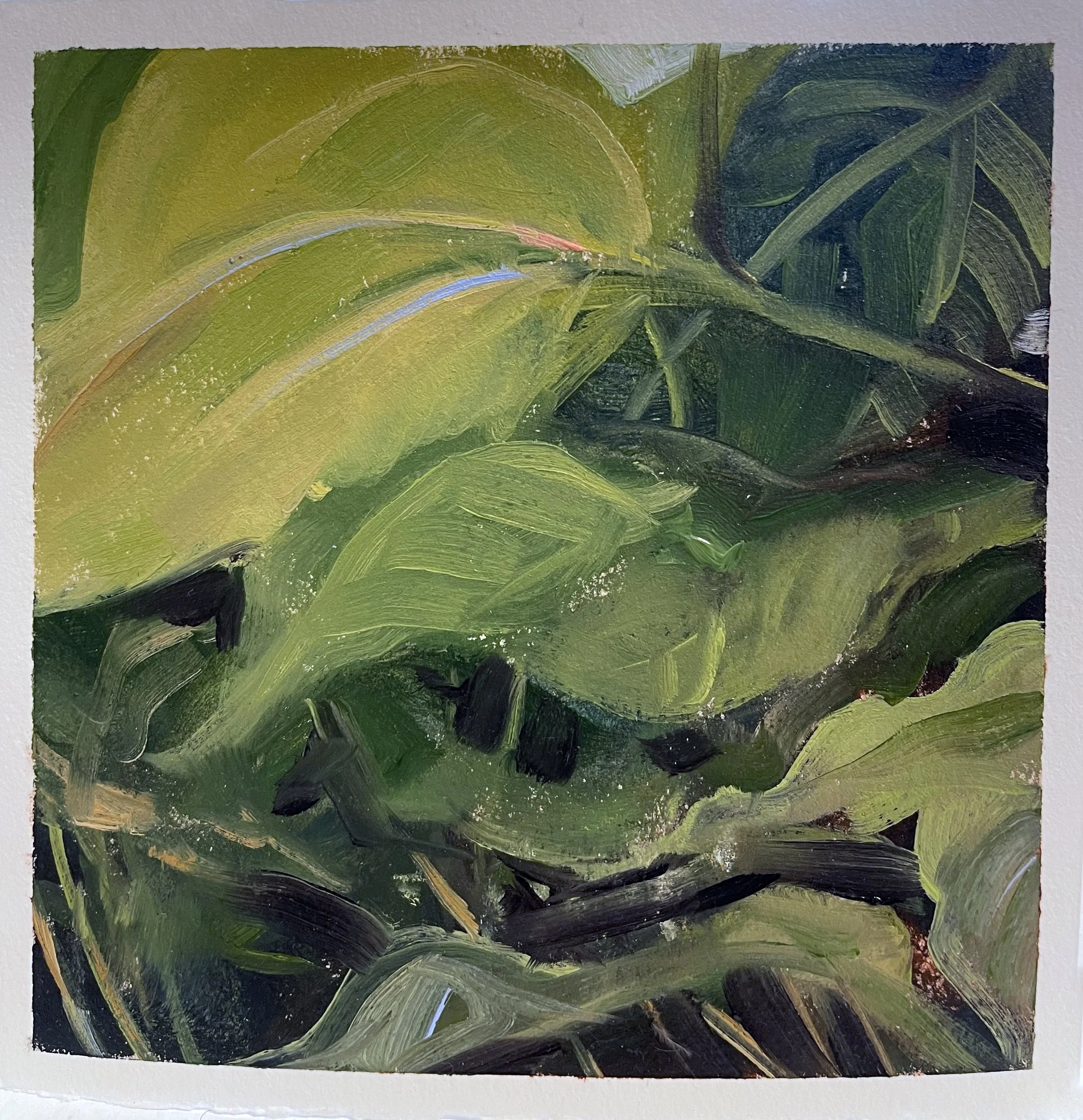 Dawn Steeves — GALLERY ON QUEEN