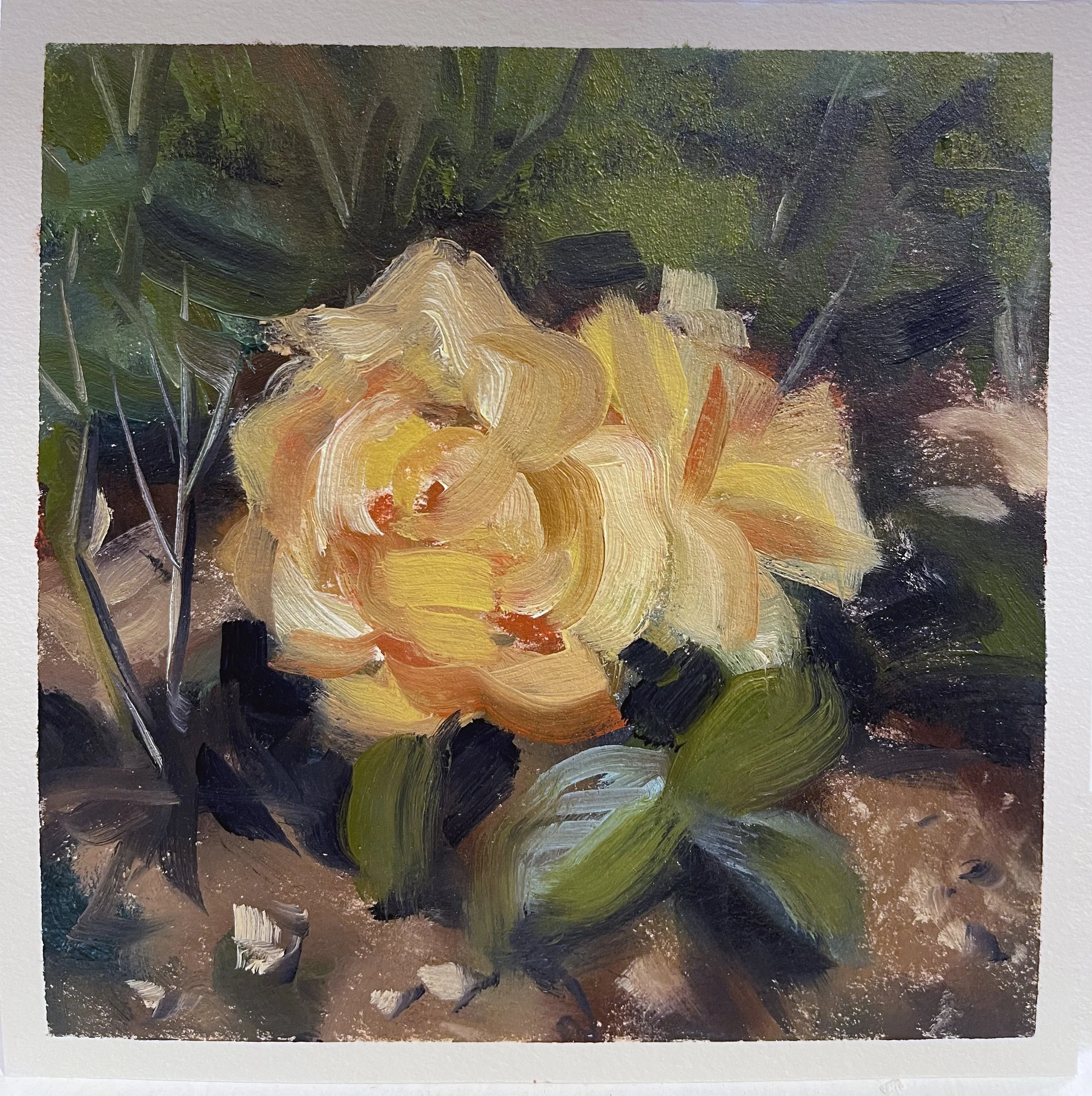 Dawn Steeves — GALLERY ON QUEEN