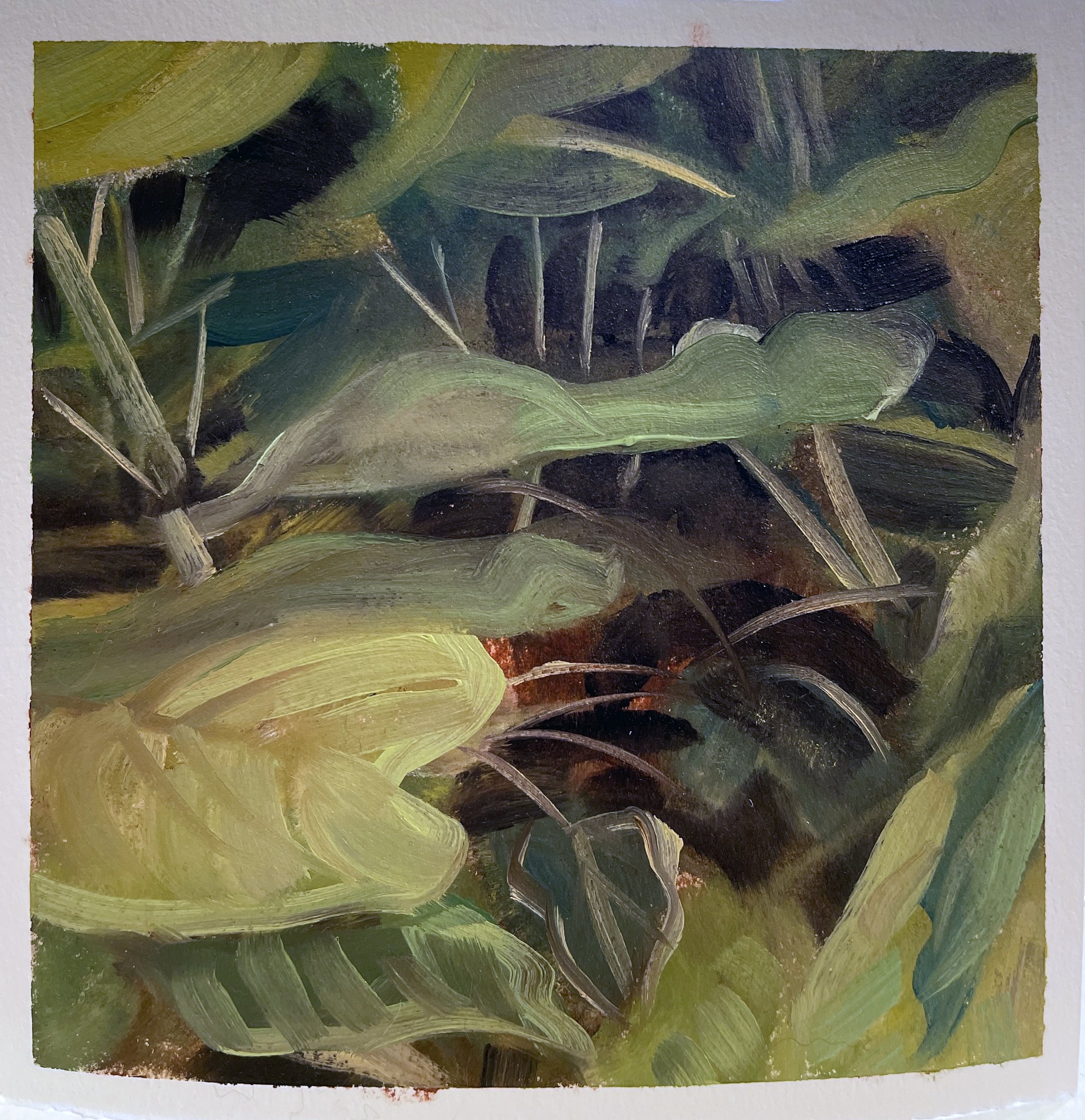 Dawn Steeves — GALLERY ON QUEEN