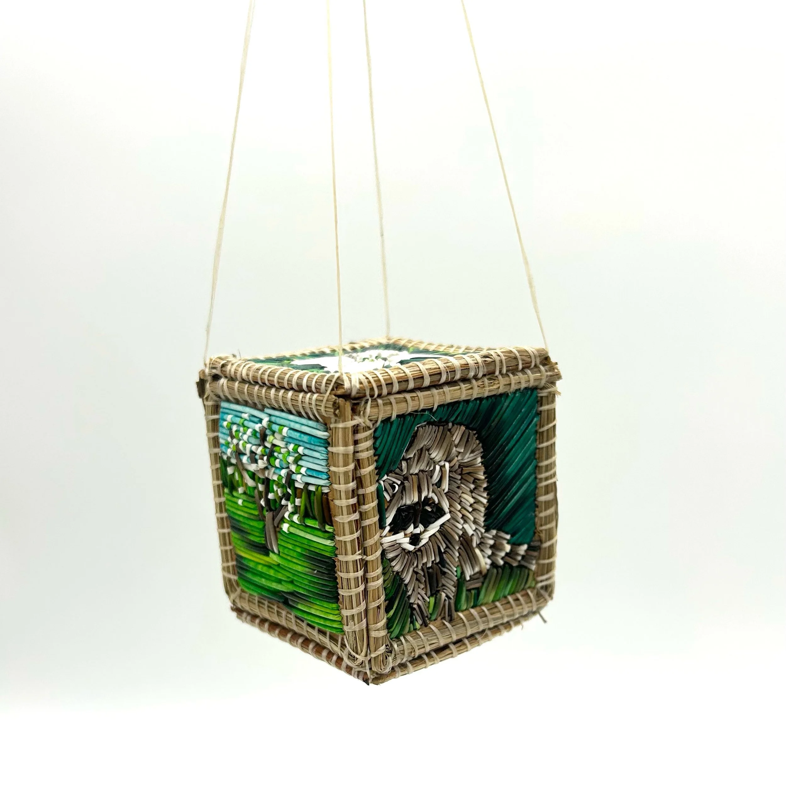 Tara Francis — GALLERY ON QUEEN