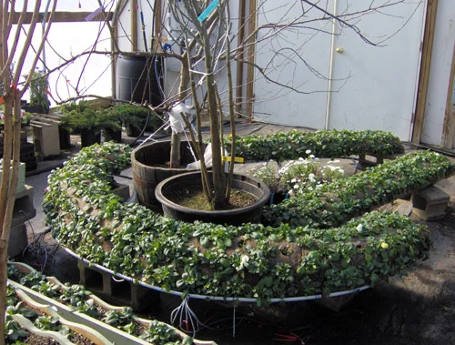 Flower Arches — Lake Street Garden Center LLC