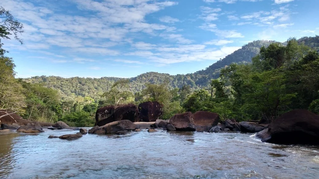 Exploring the Amazon Rainforest, with Amazônia Wild Experience — Dure ...