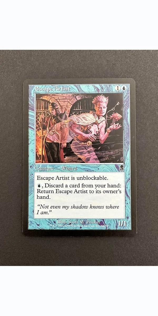 MTG Artist Proofs A-M — Scott M Fischer M:TG and Fantasy Art Store