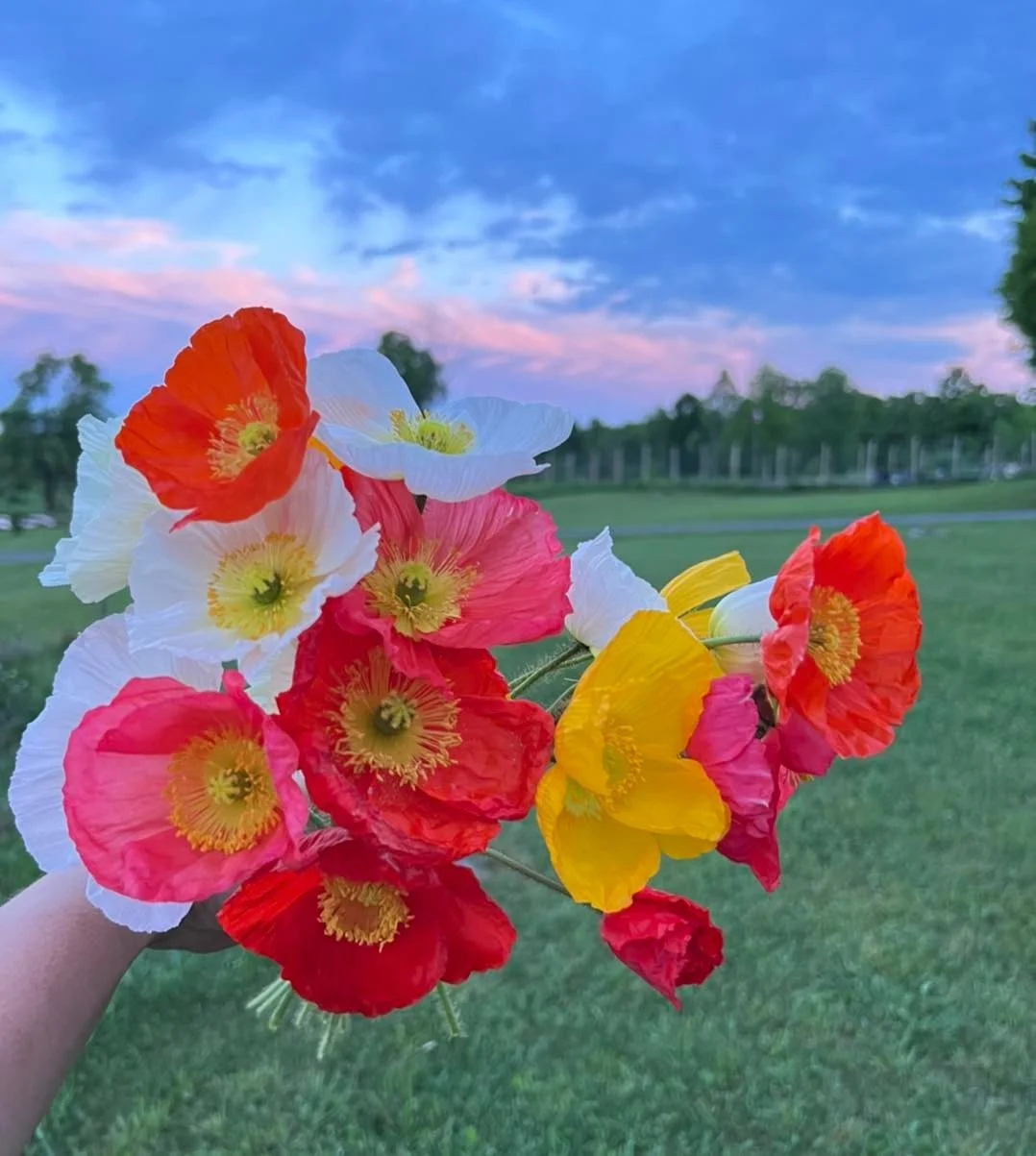 The Flower Podcast