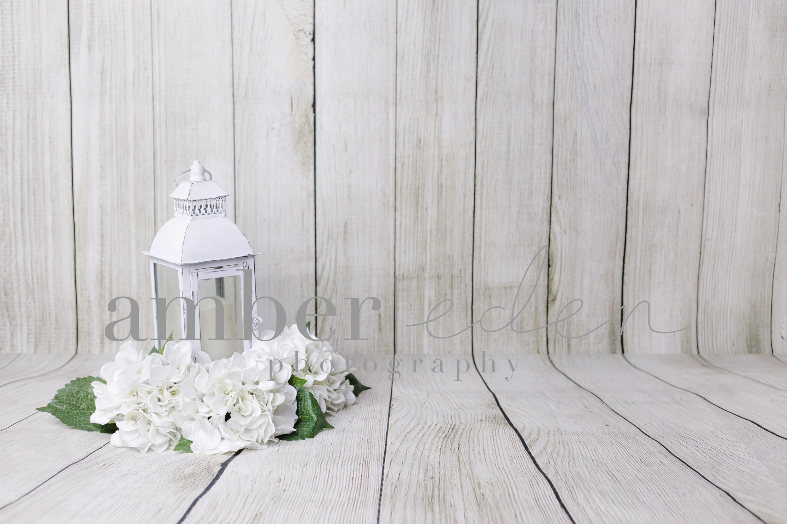 Digital Backdrops For Professional Photographers — Hello Love ...