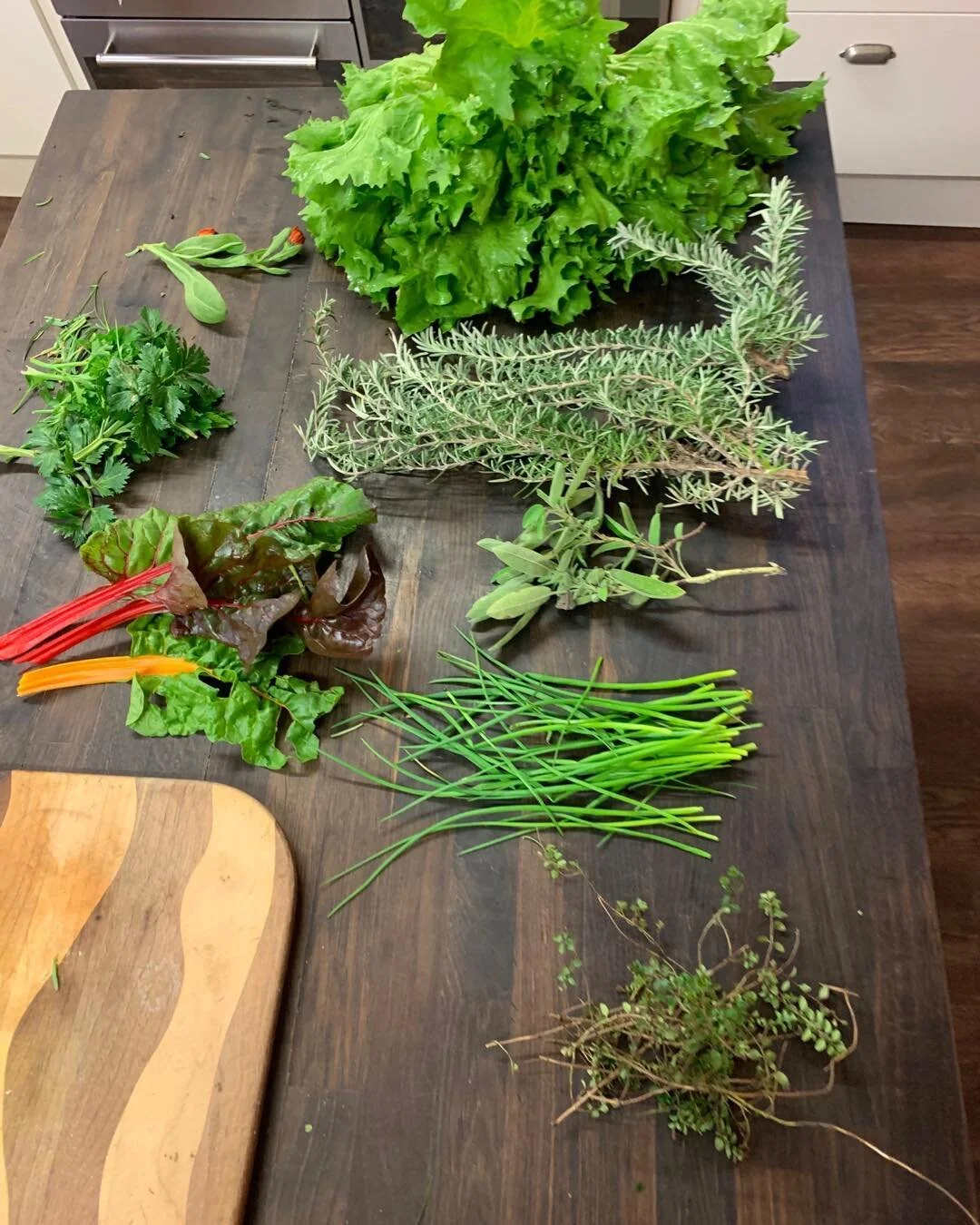 The Elephant in the Obesity Room — Craig Sams